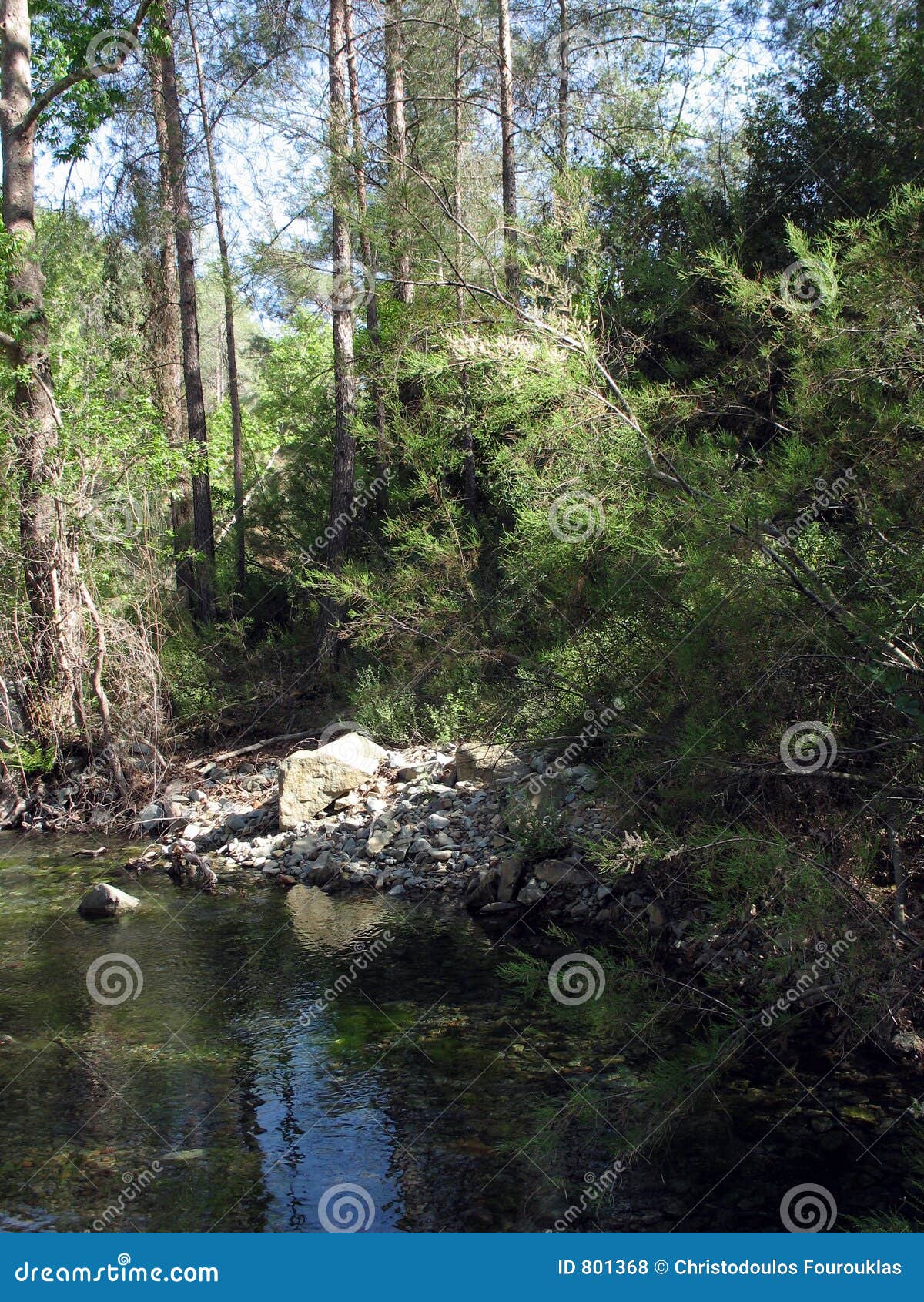 Quiet stream stock photo. Image of places, plants, streams - 801368