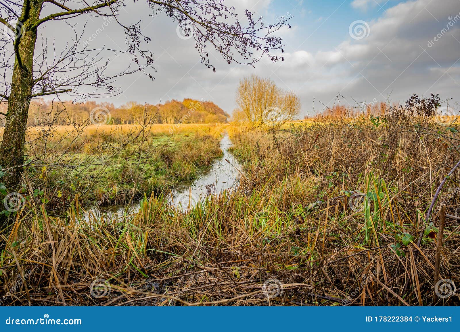 Small Stream Meandering through the Norfolk Countryside Stock Photo ...