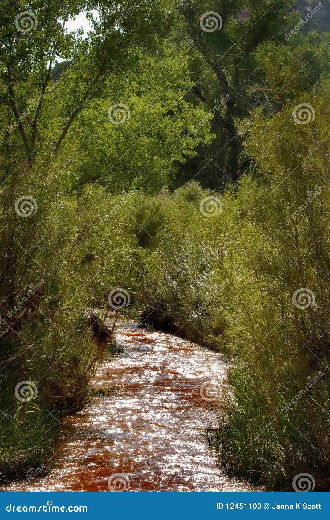 Quiet Stream in Palo Duro Canyon Stock Image - Image of stream, canyon ...