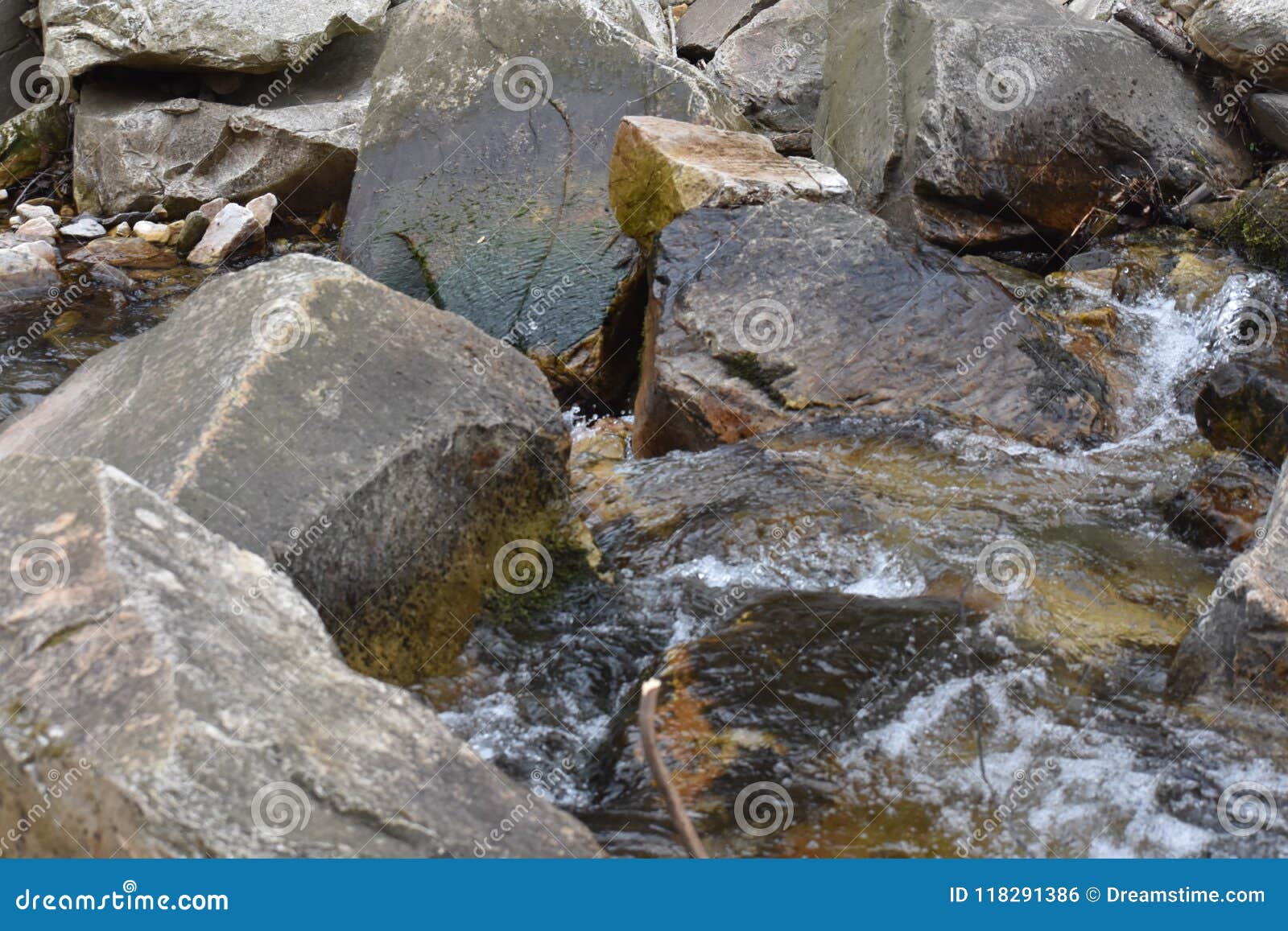 Quiet Stream Speaking stock photo. Image of speaking - 118291386