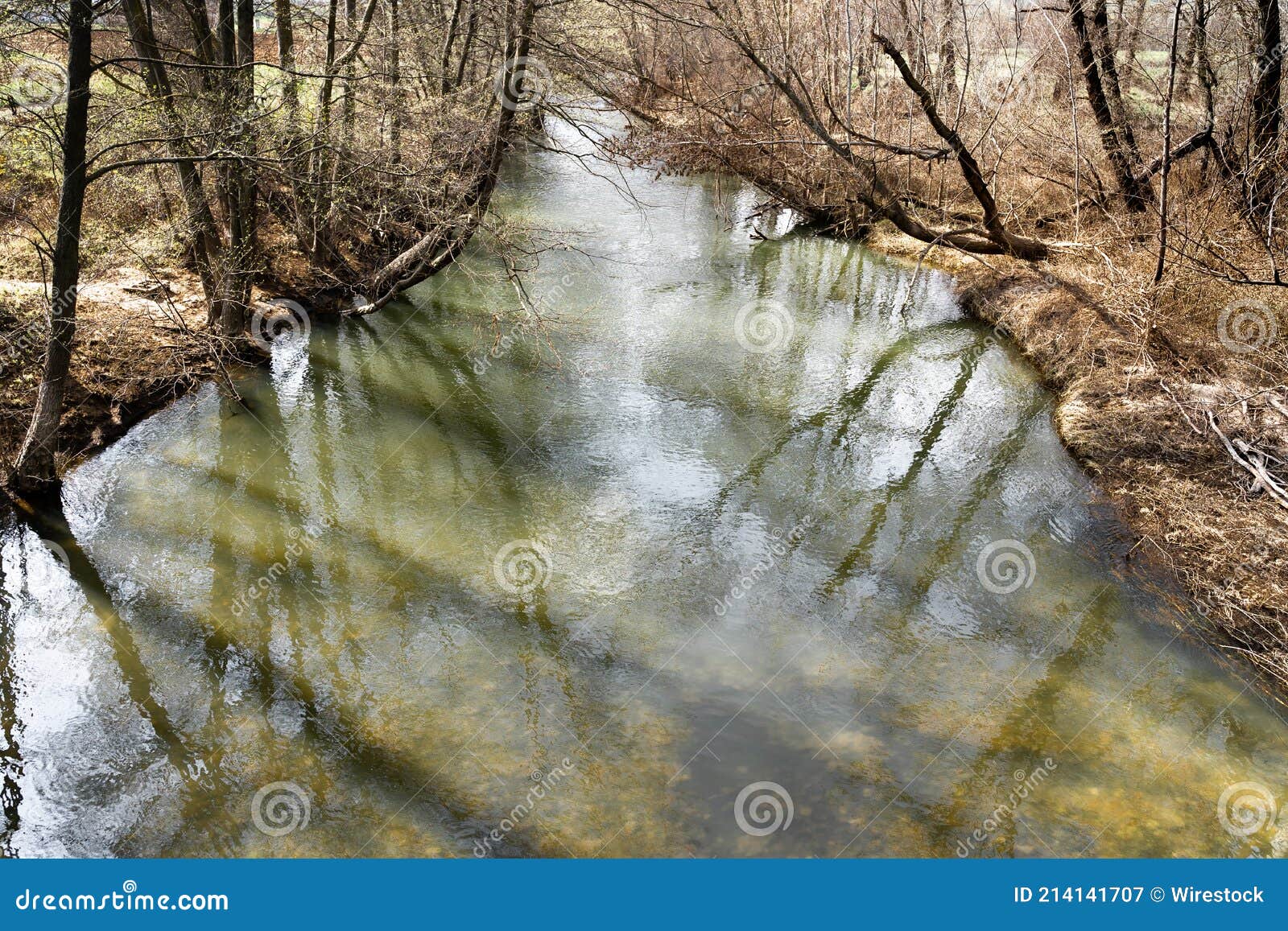 Quiet Stream of Water in the Woods Lined with Bare Trees during Winter ...