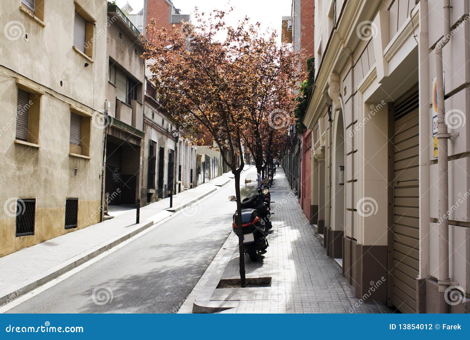 Quiet street stock photo. Image of trees, scooters, silence - 13854012