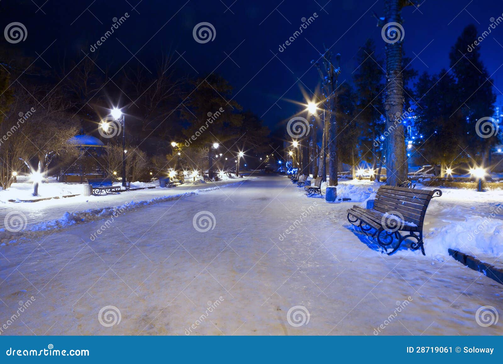 Quiet Street in Night Winter Park Stock Image - Image of park, holiday ...