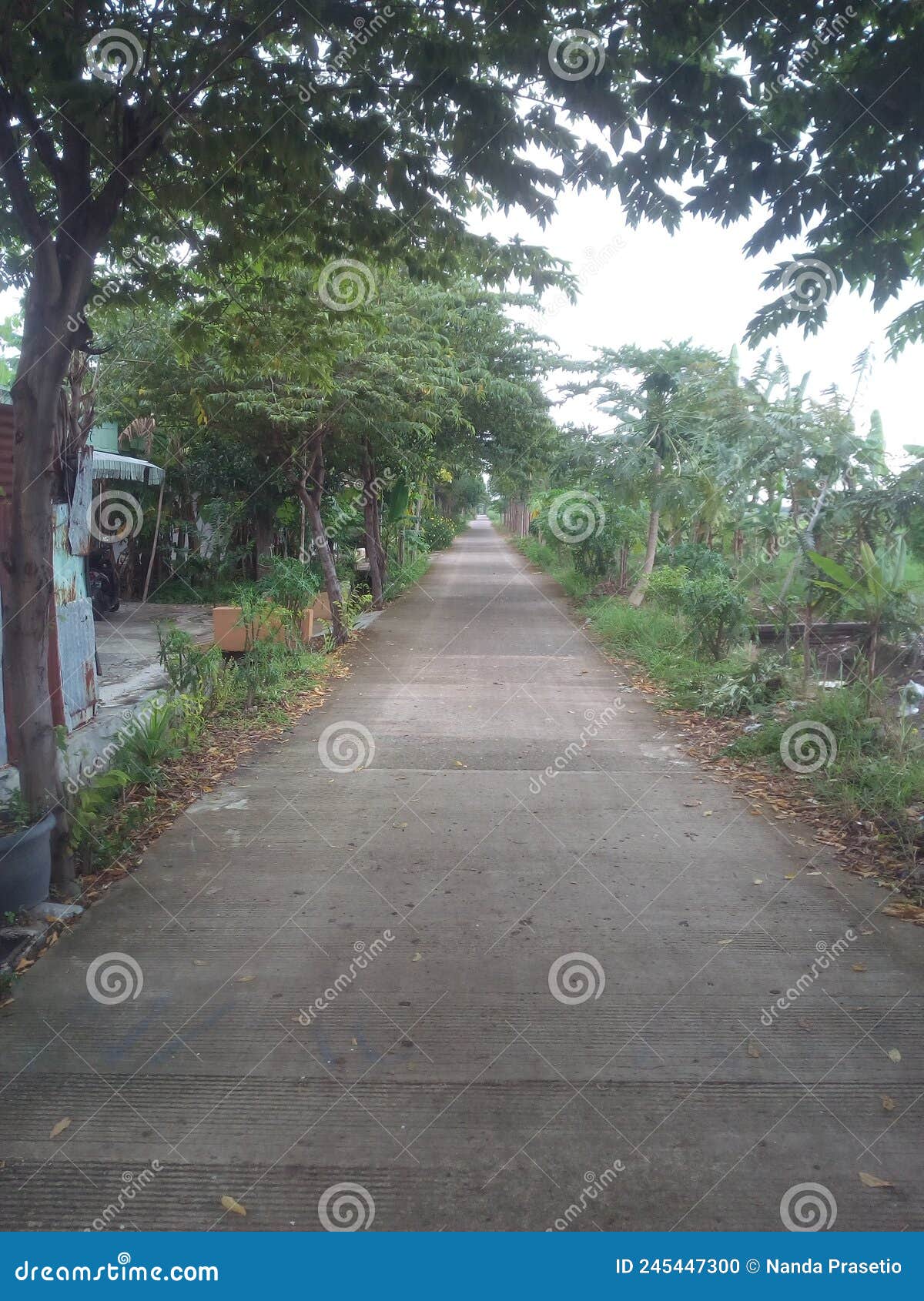 A quiet street village stock photo. Image of street - 245447300