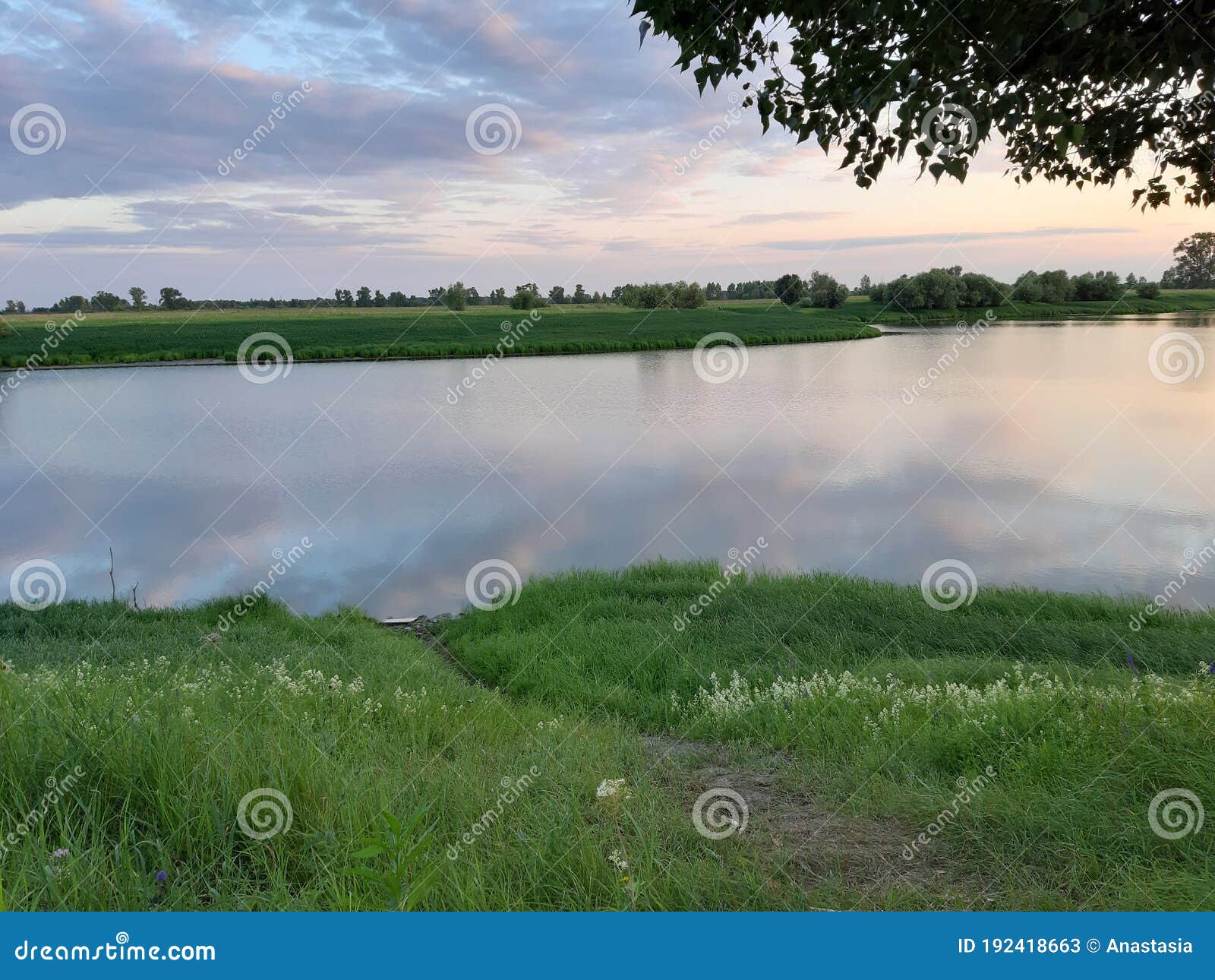 Quiet summer evening stock image. Image of lake, pond - 192418663