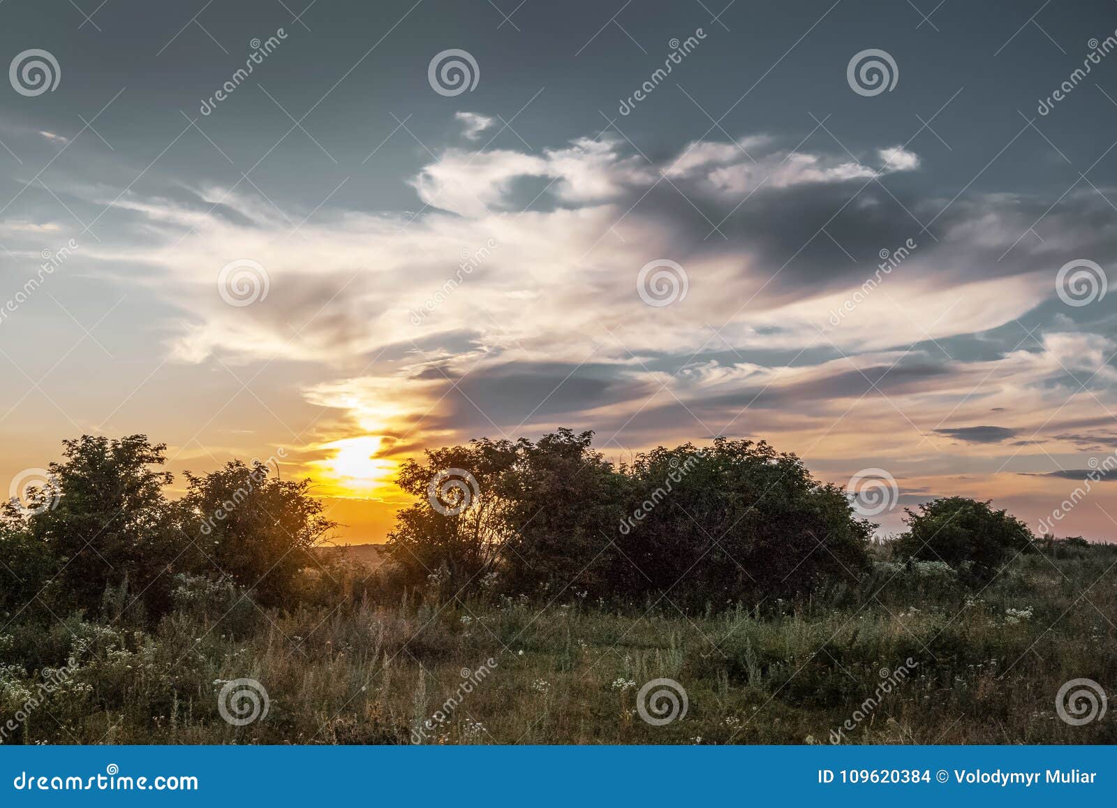 Quiet Summer Evening, Sunset in the Field, Peace and Quiet_ Stock Photo ...