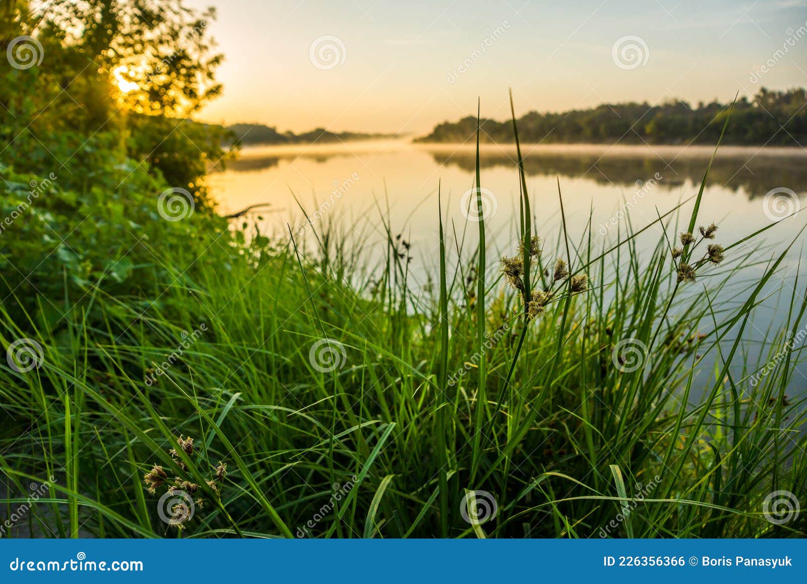 Quiet Summer Morning on the River Stock Photo - Image of landscape ...