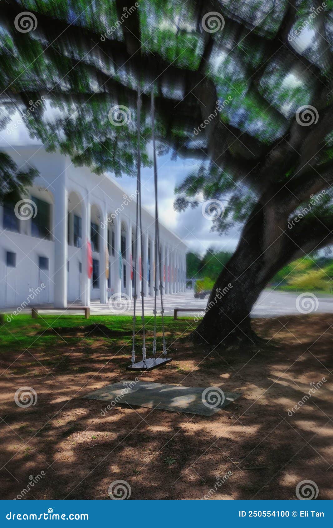 Quiet swing alone outdoor stock photo. Image of wing - 250554100