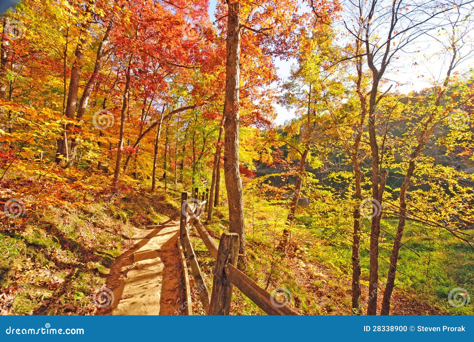 Quiet Trail through Fall Forest Colors Stock Photo - Image of state ...