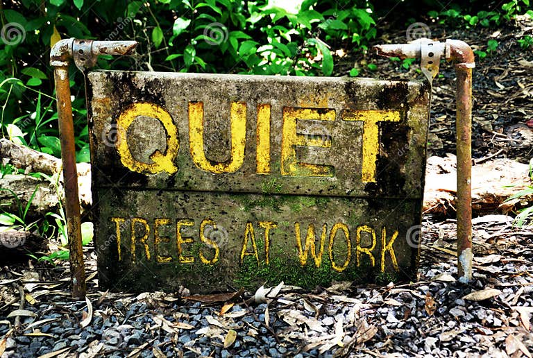 Quiet - Trees at Work stock photo. Image of maui, attention - 23370632