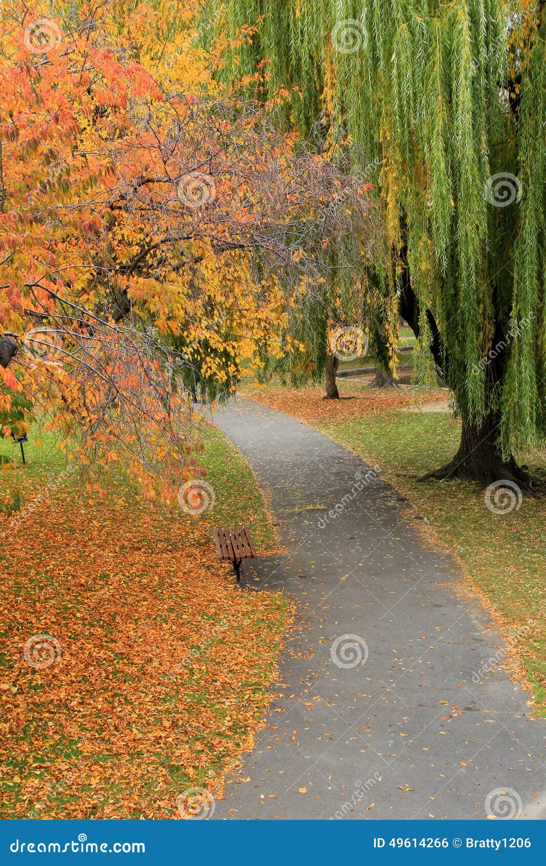 Quiet Walk through the Park, with Fall Foliage Adding To Peaceful ...
