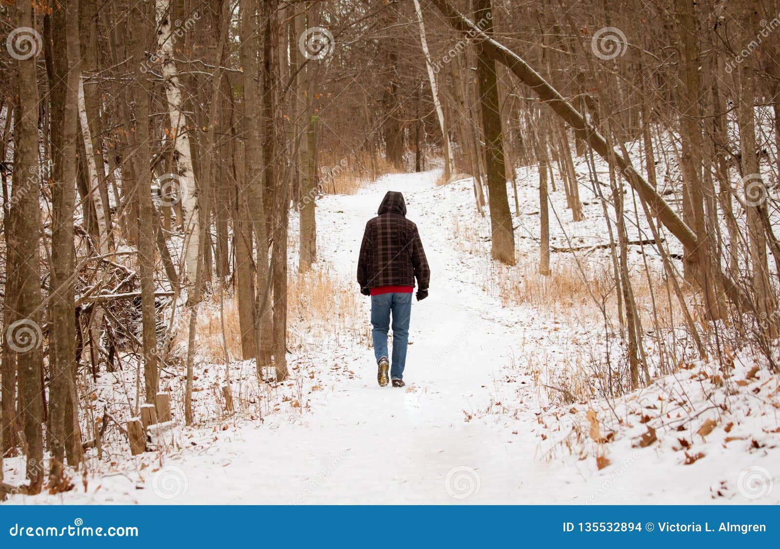 Quiet Walk on a Winter Trail Stock Photo - Image of brown, black: 135532894