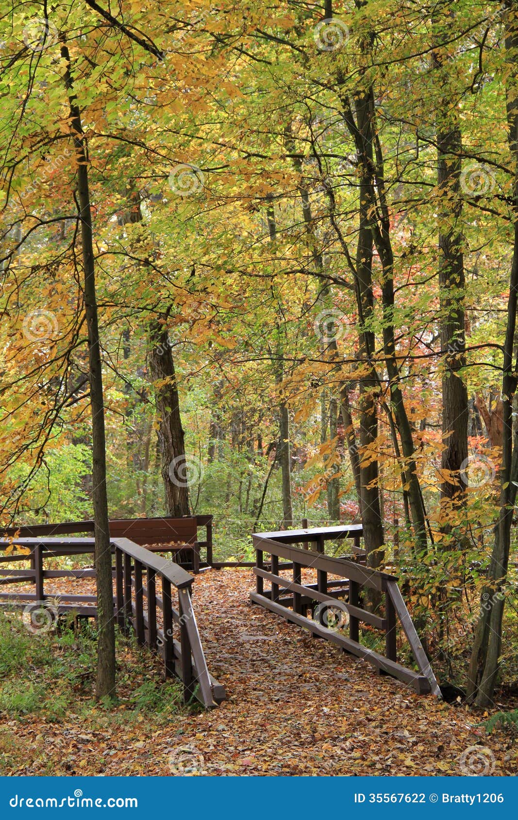 25,105 Quiet Walk Photos - Free & Royalty-Free Stock Photos from Dreamstime