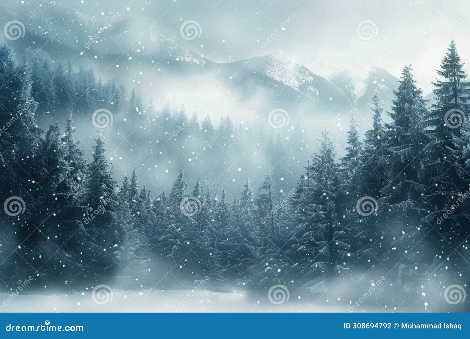 Quiet Winter Scene Snowfall Over an Alpine Forest with Text Space Stock ...