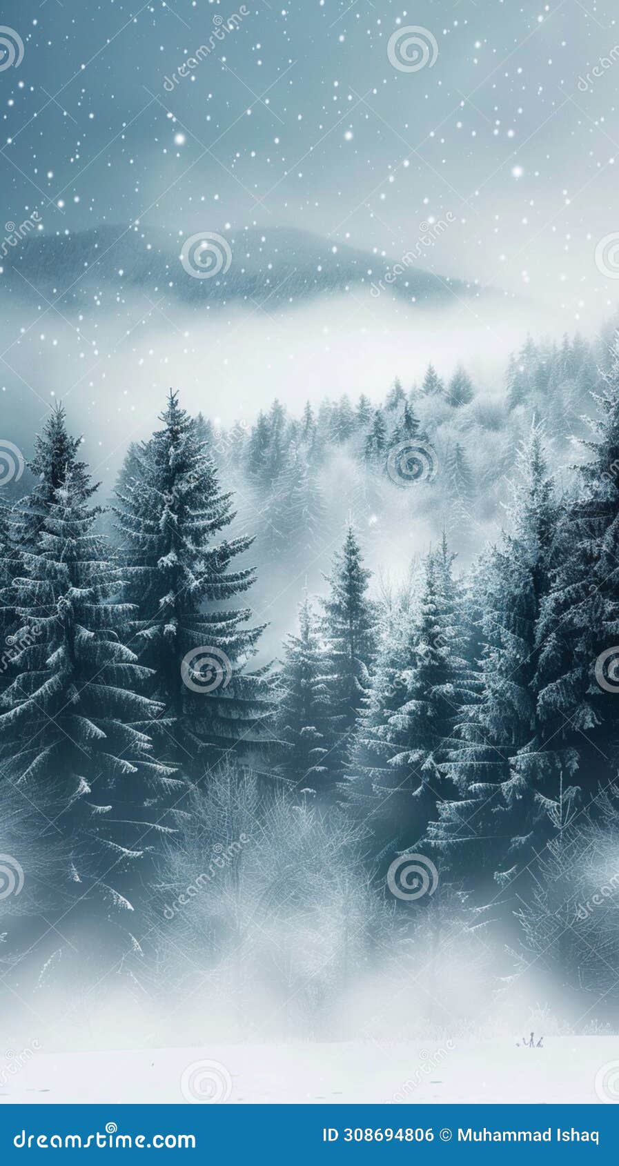 Quiet Winter Scene Snowfall Over an Alpine Forest with Text Space Stock ...