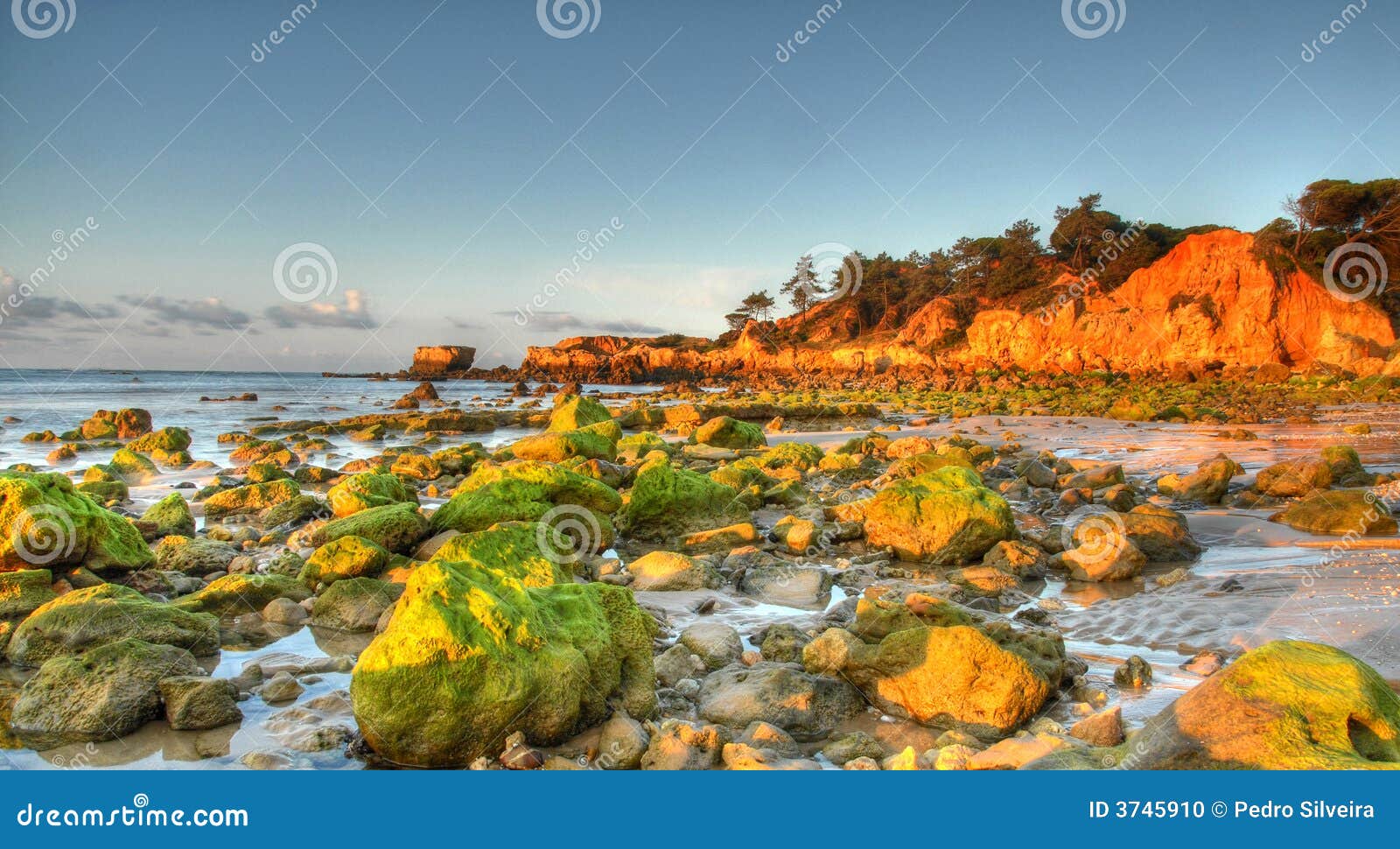 Quietness stock photo. Image of sunlight, beautiful, calm - 3745910