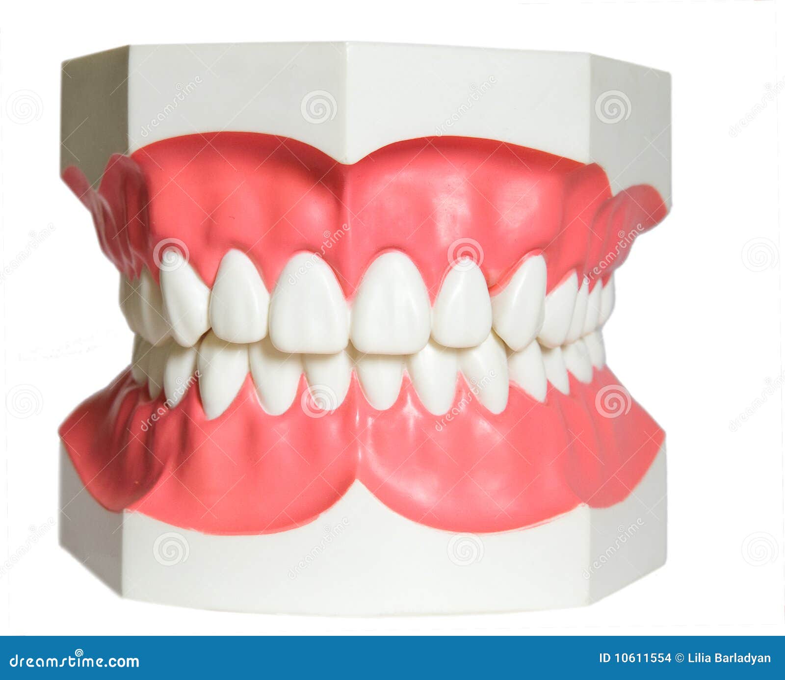 Quijada foto de archivo. Imagen de humano, rosa, dientes - 10611554