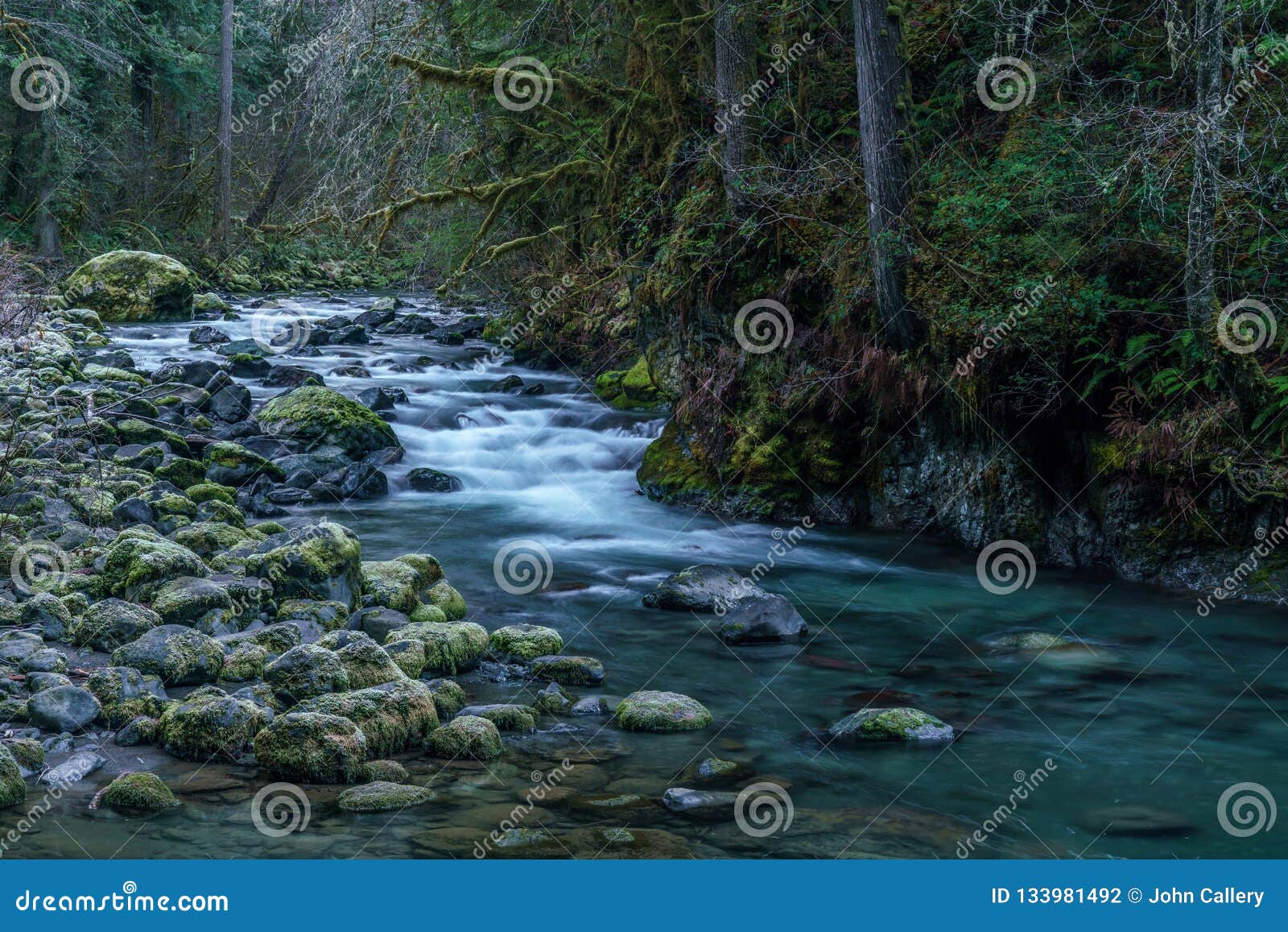 Quilcene River in Autumn after Rain Stock Photo - Image of stone ...