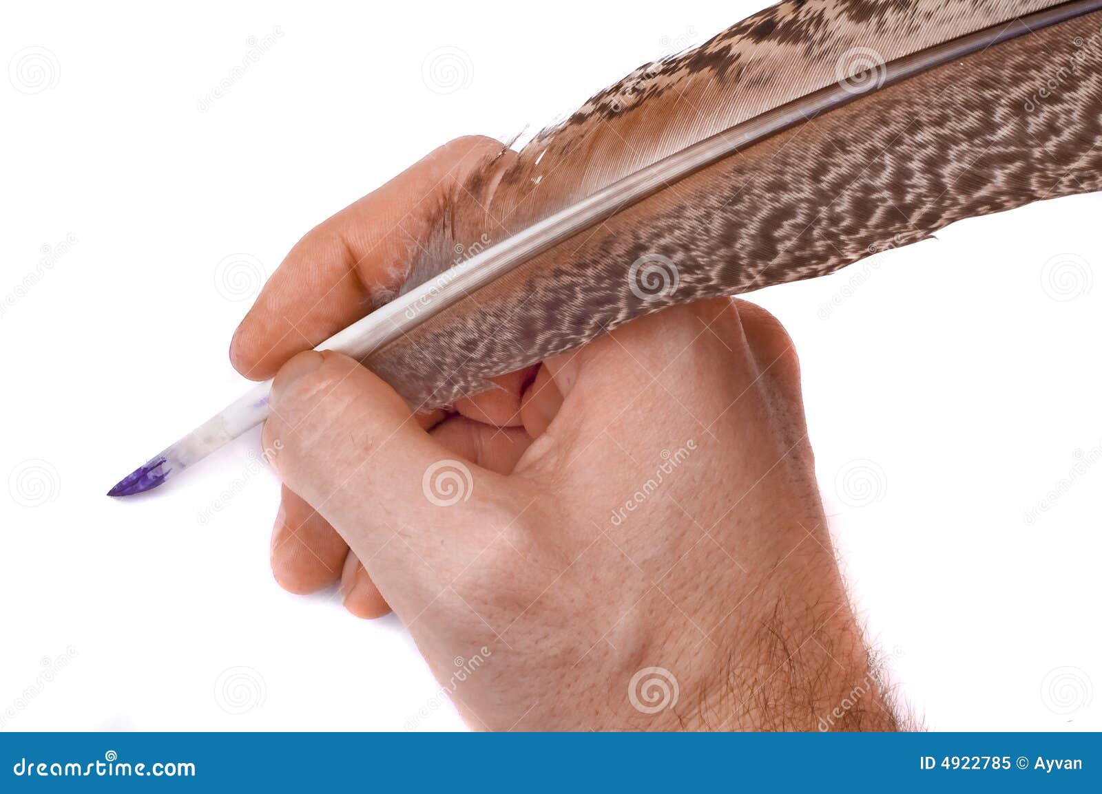 Quill stock image. Image of literary, feather, bird, horizontal - 4922785