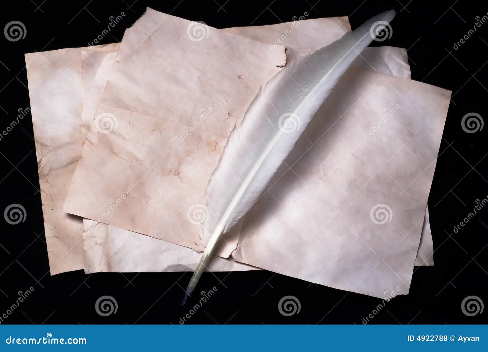 Quill Picture. Image: 4922788