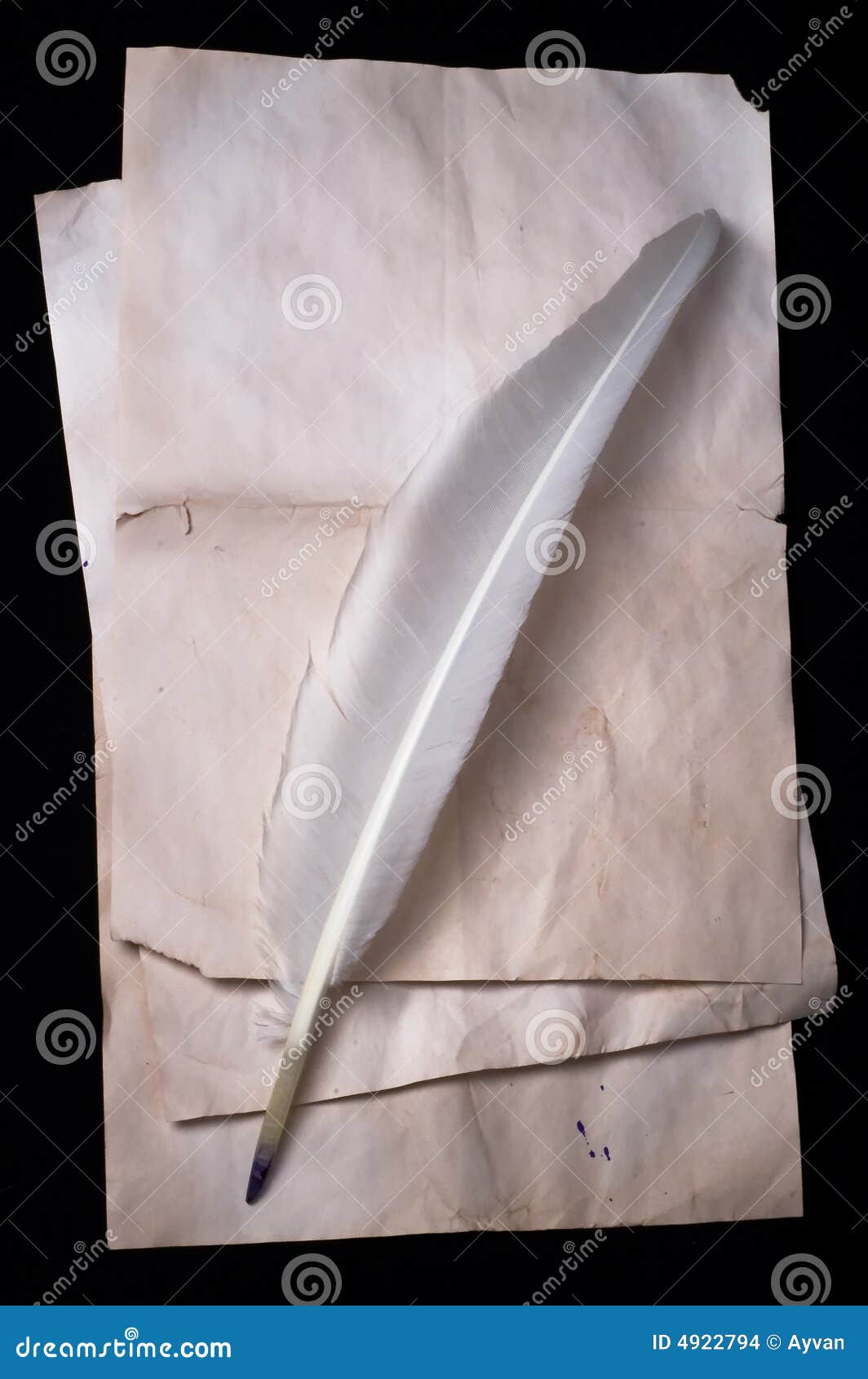 Quill stock photo. Image of copying, paper, artist, model - 4922794
