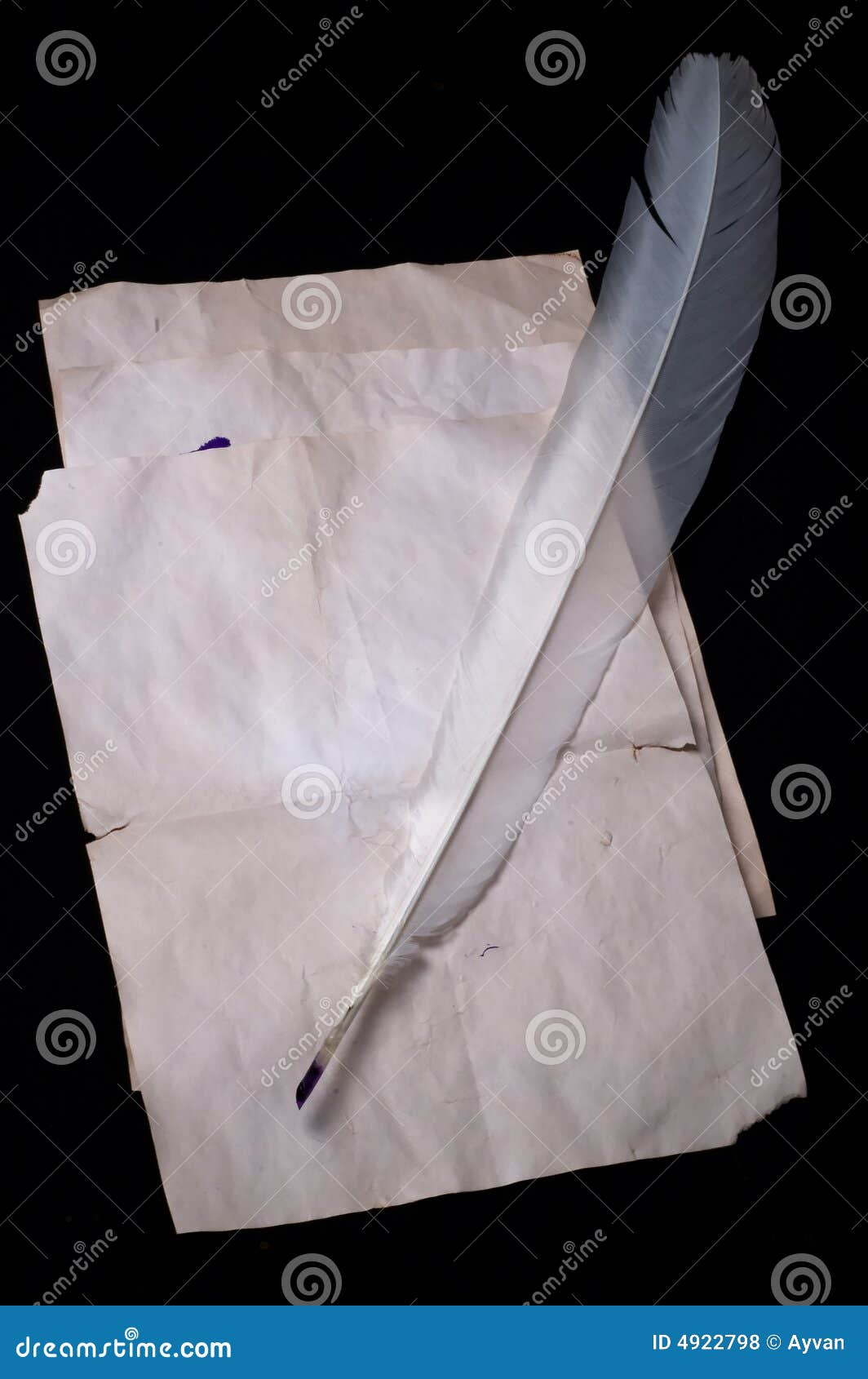 Quill stock photo. Image of communication, model, expertise - 4922798