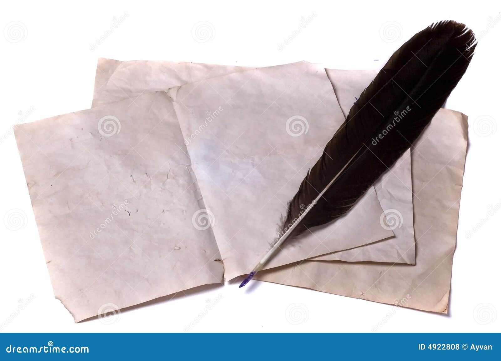 Quill stock photo. Image of feather, imagination, philosopher - 4922808