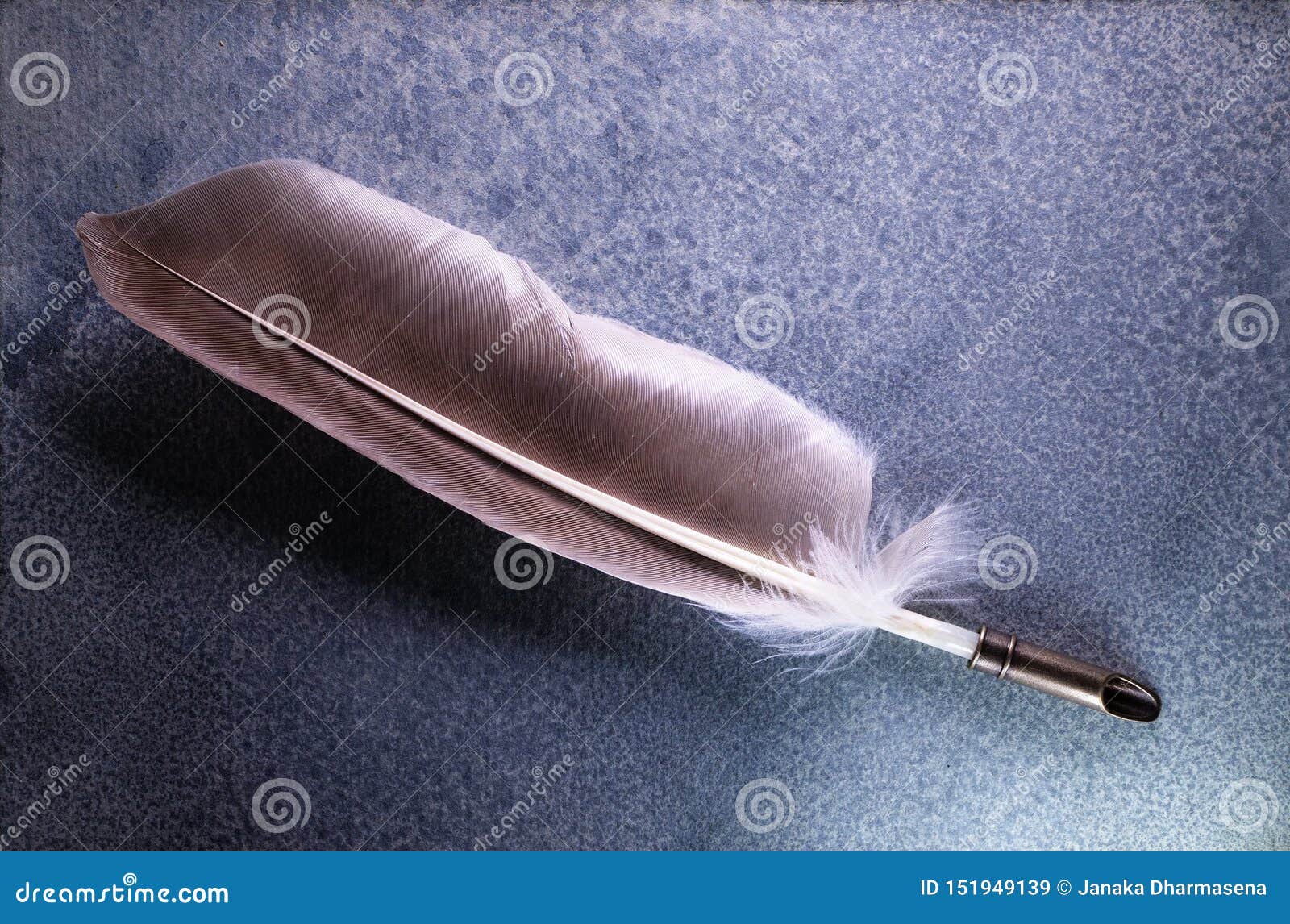 Quill Feather background stock image. Image of poem - 151949139