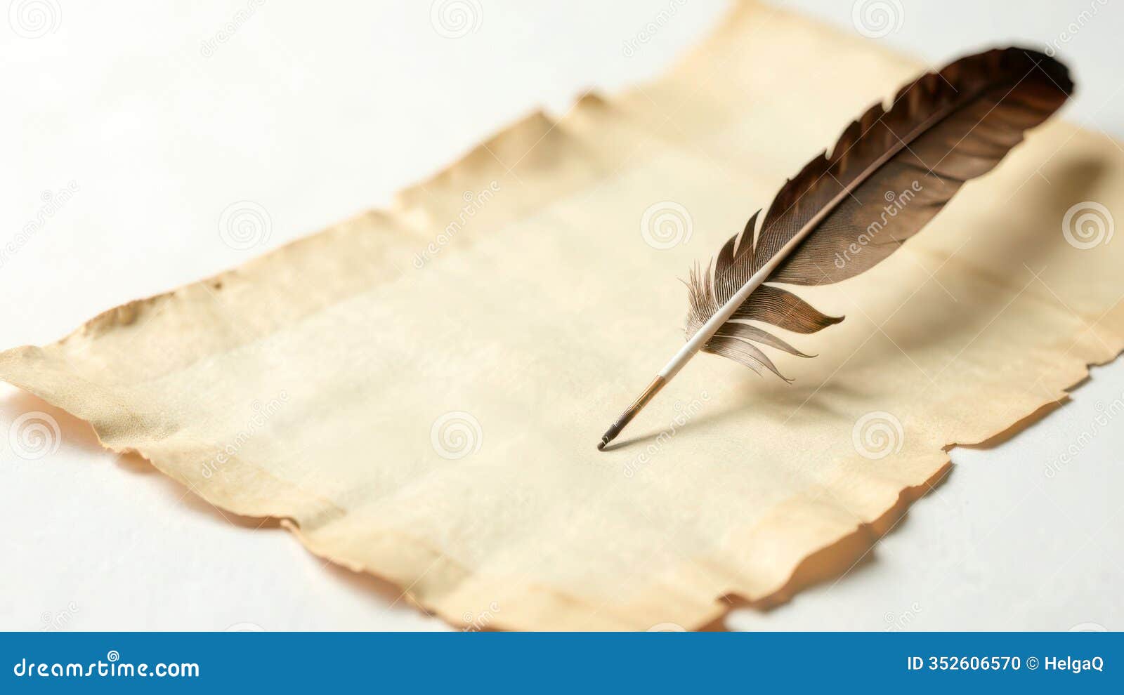 Quill Pen on Aged Parchment for Writing and Calligraphy Stock ...
