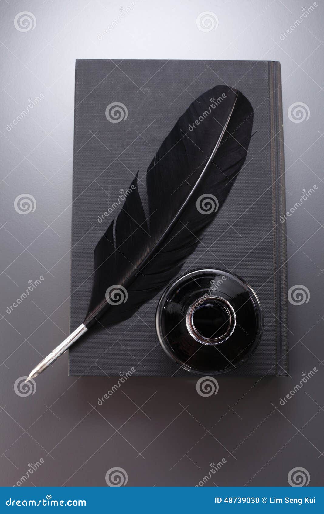 Quill Pen,ink Well and Book Stock Photo - Image of quill, people: 48739030