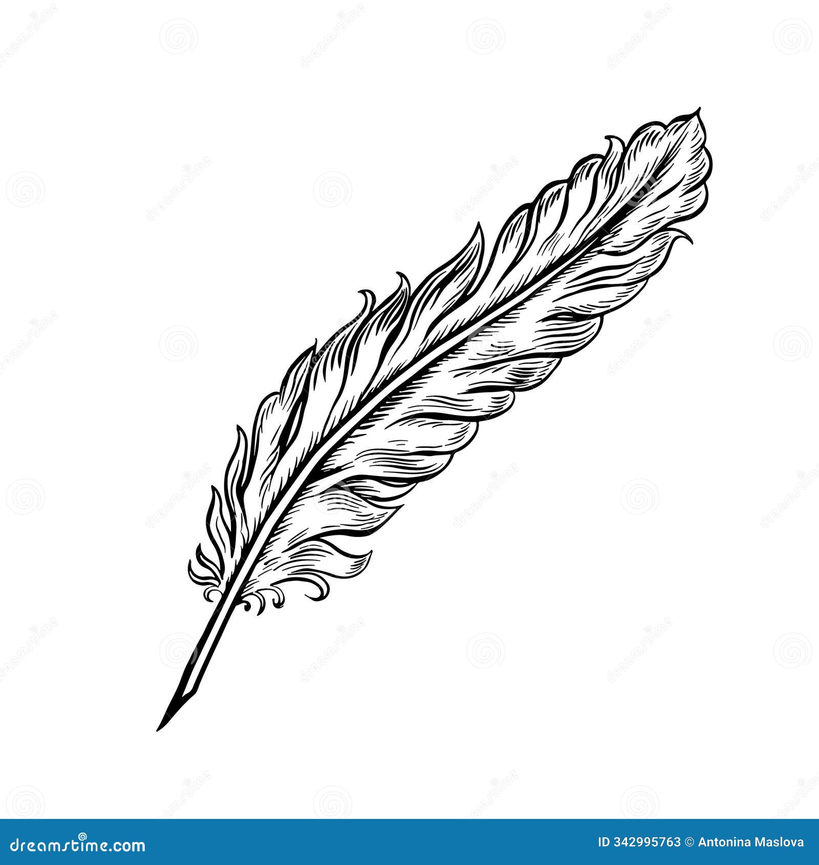 Quill Clipart Black And White Quill Clipart Stock Vector Illustration