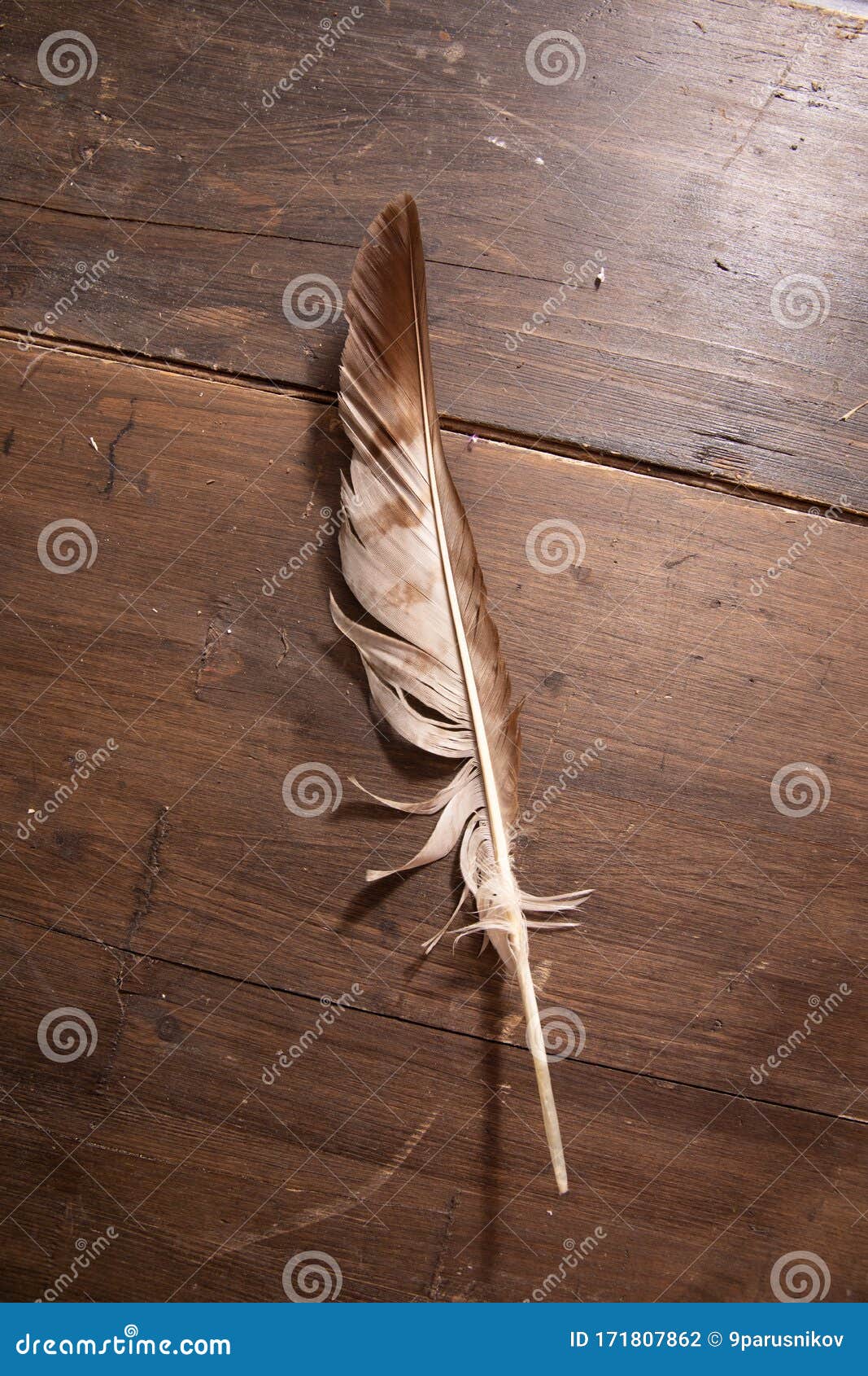 Quill Pen for Writing on a Wooden Table Stock Photo - Image of ...