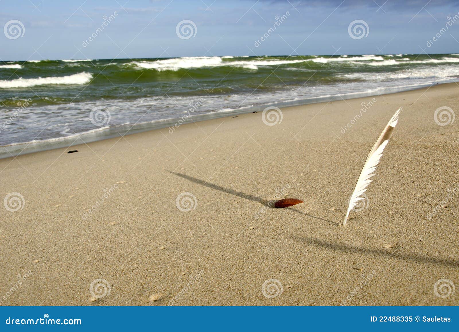 Quill Planted into Coastal Sea Sand and Its Shadow Stock Image - Image ...