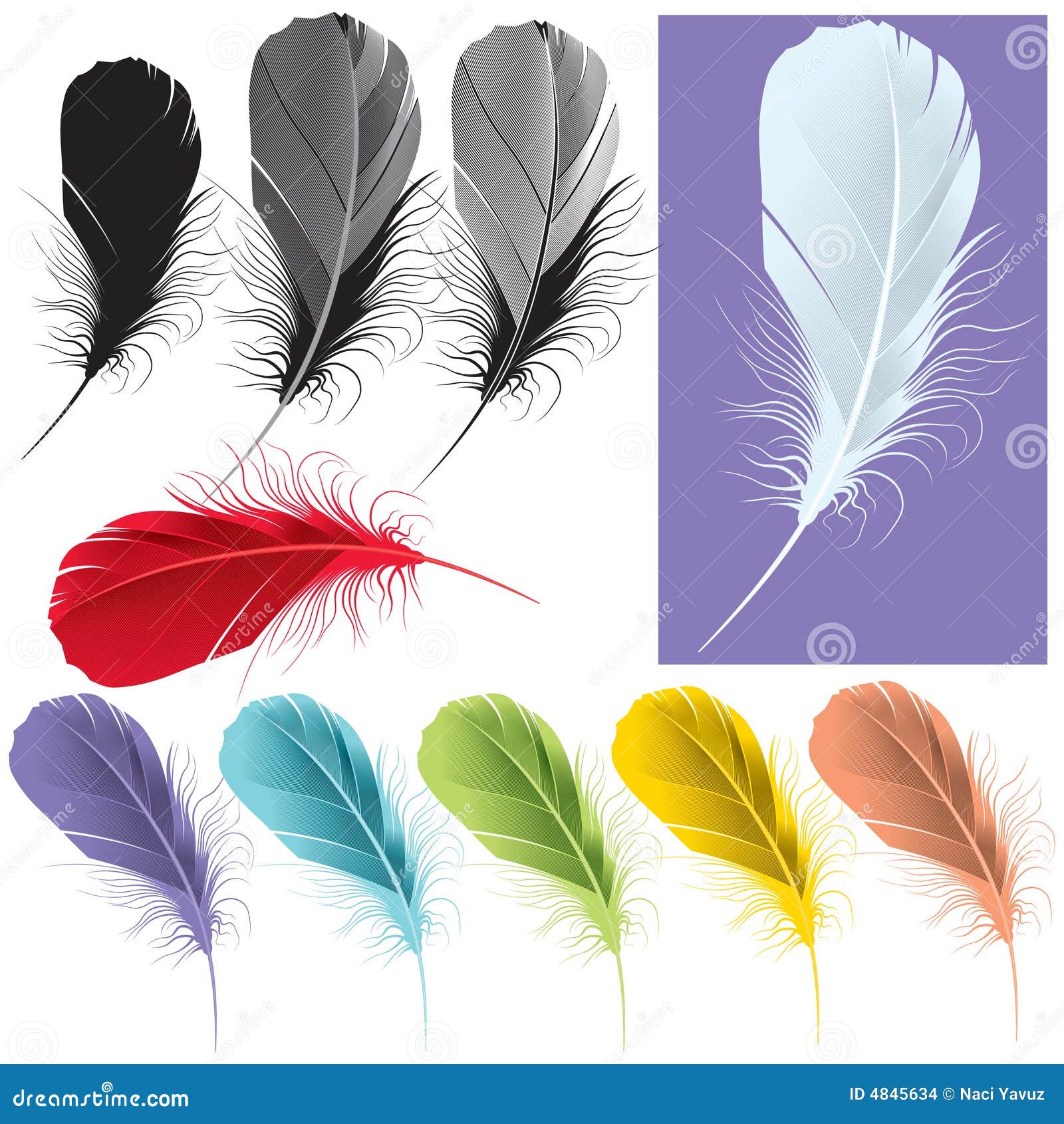 Quills stock vector. Illustration of sketching, vector - 4845634