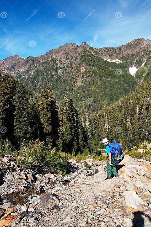 Quinalt River Trail stock image. Image of nature, mountains - 4464183