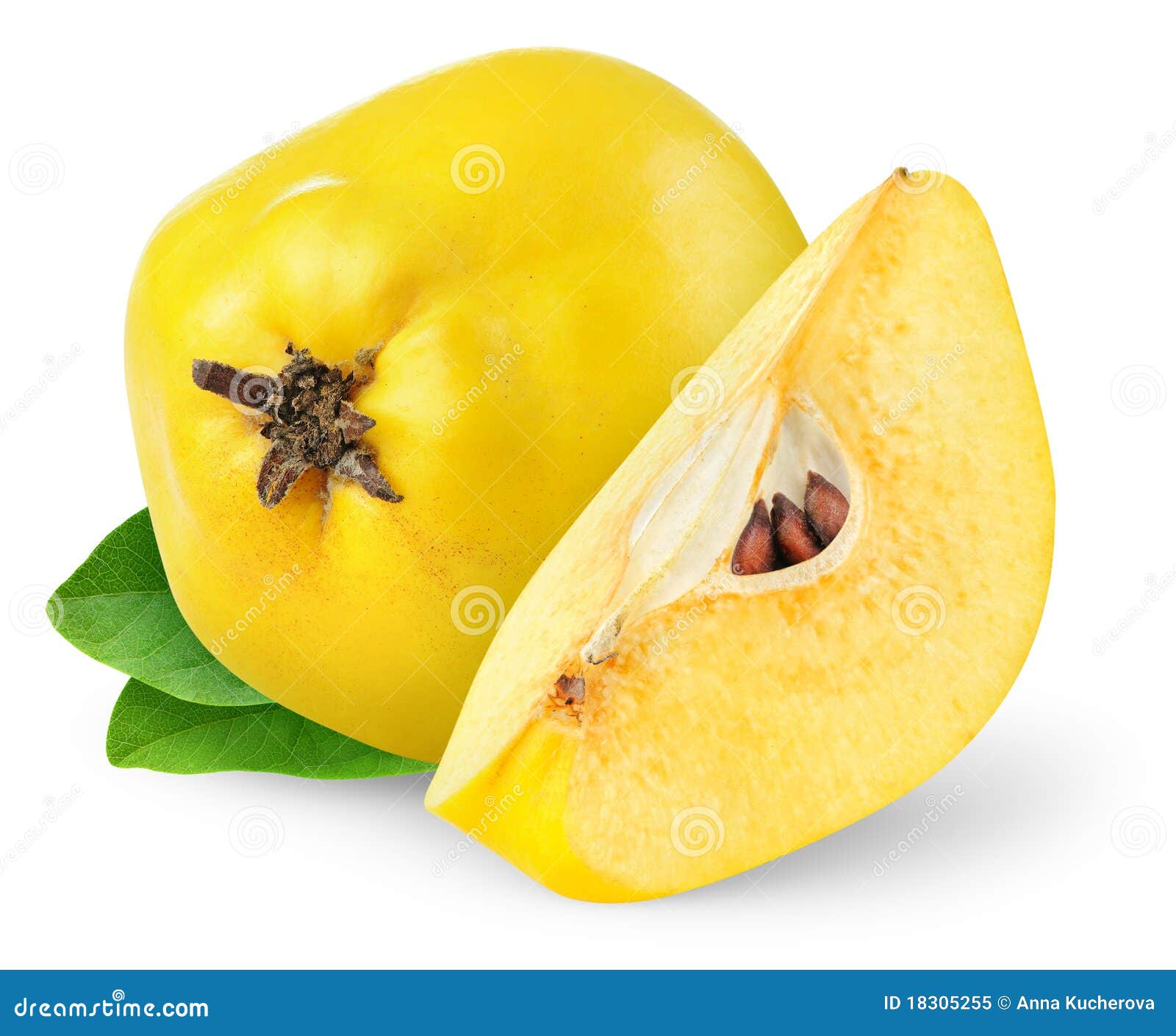 Quince Fruit Clipart