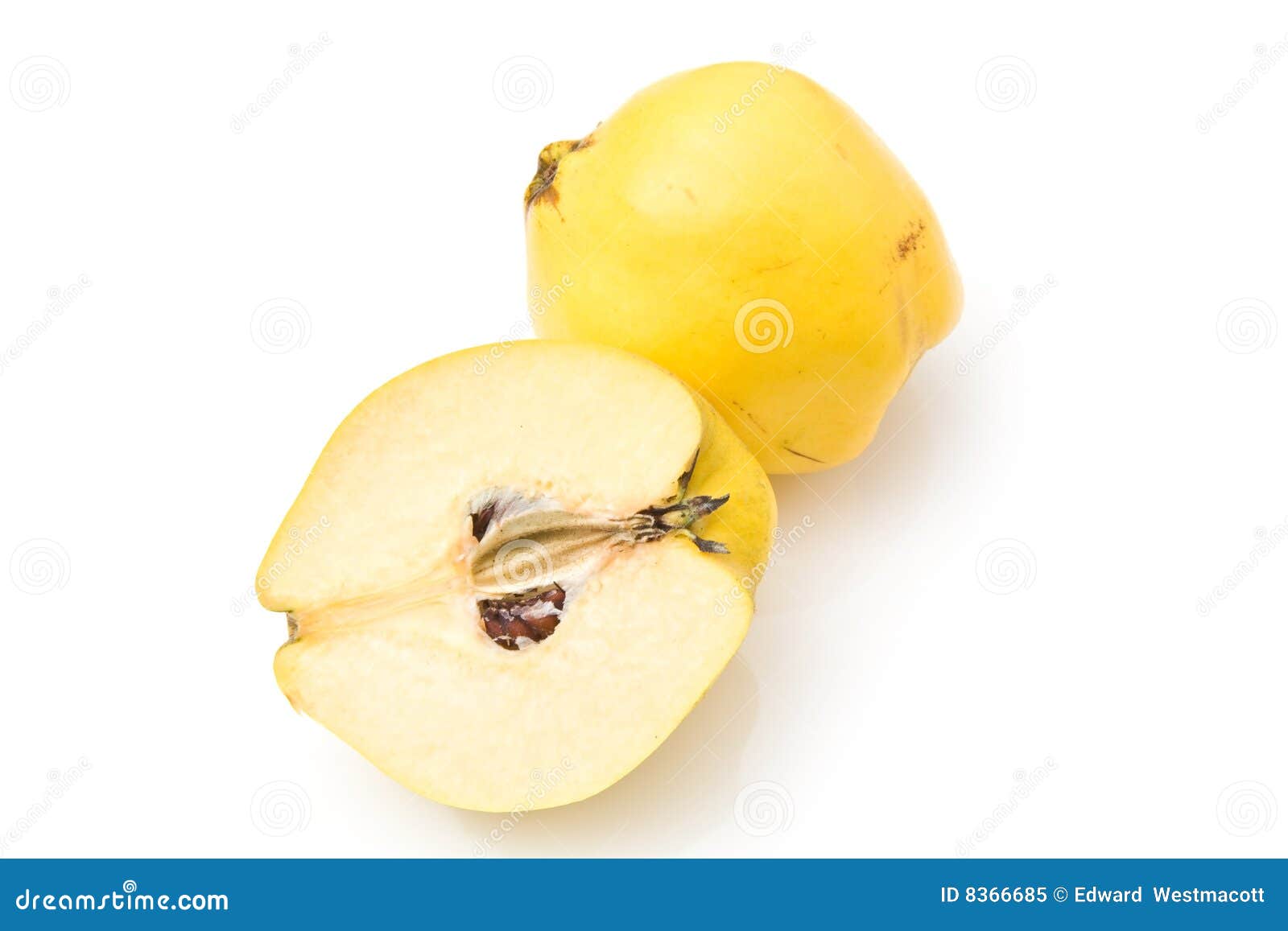 Quince Apples Isolated on White Stock Image - Image of healthy, food ...