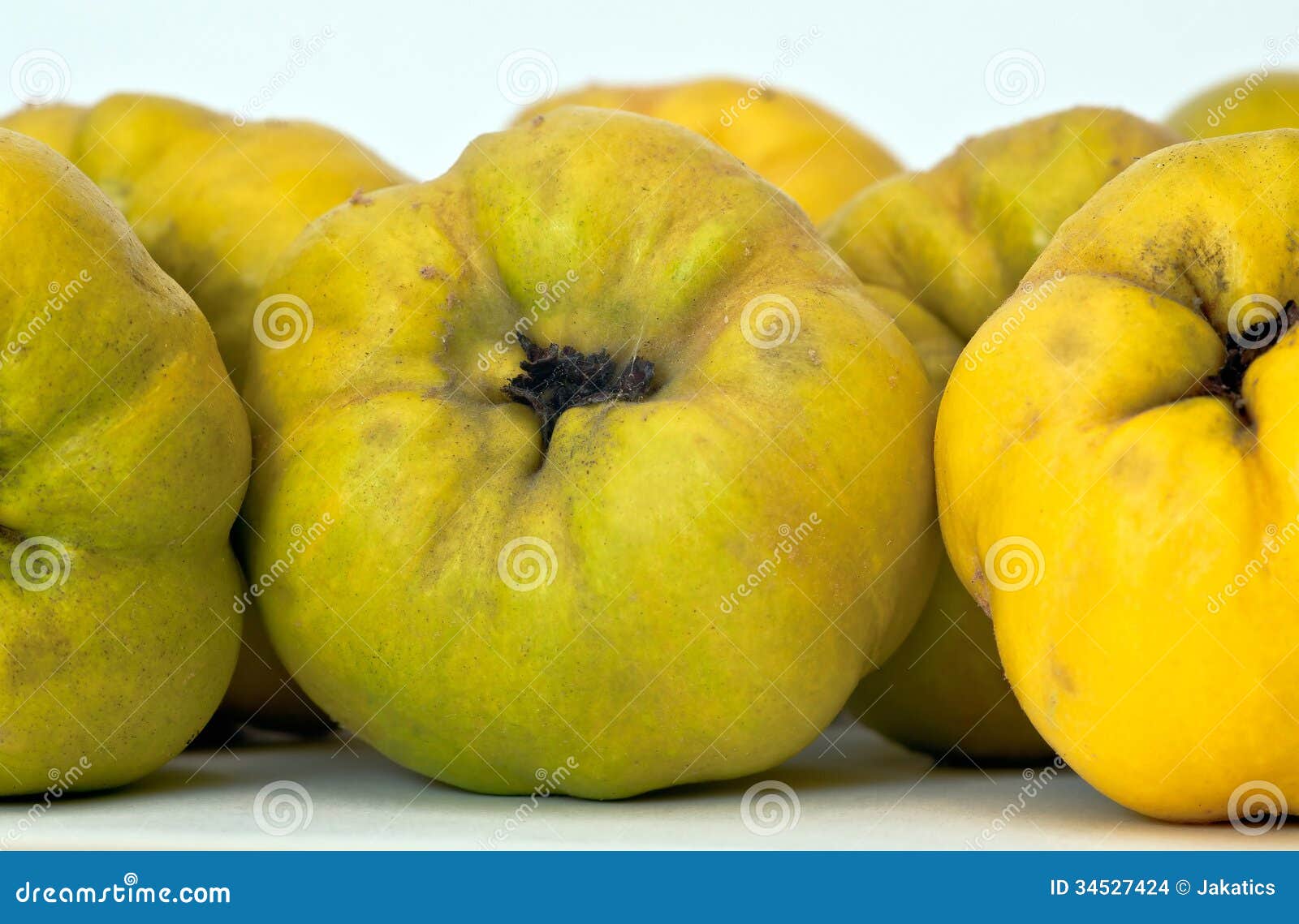 Quince stock photo. Image of harvest, batch, organic - 34527424