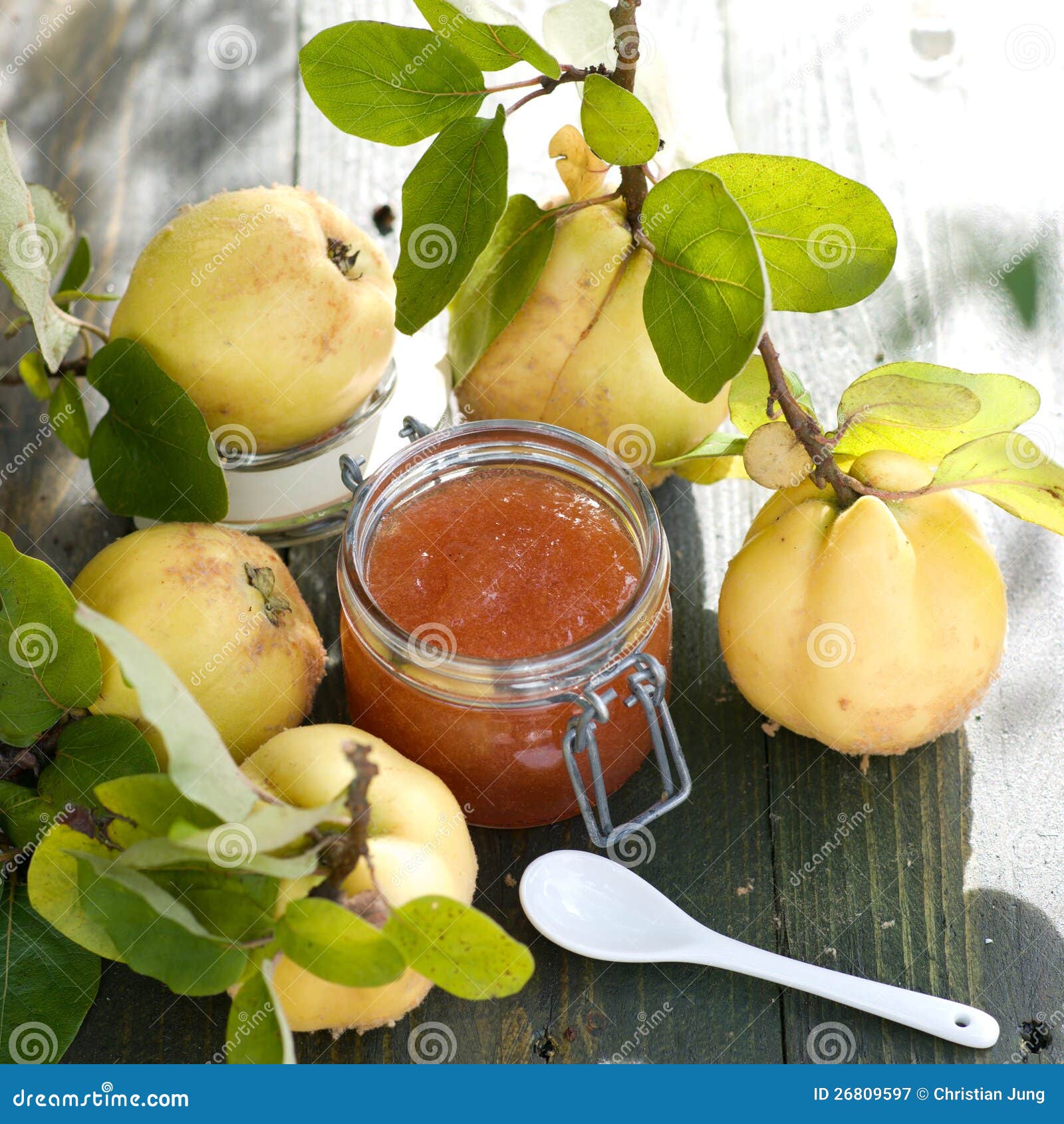 Quince jelly stock image. Image of quinces, organic, leaf - 26809597
