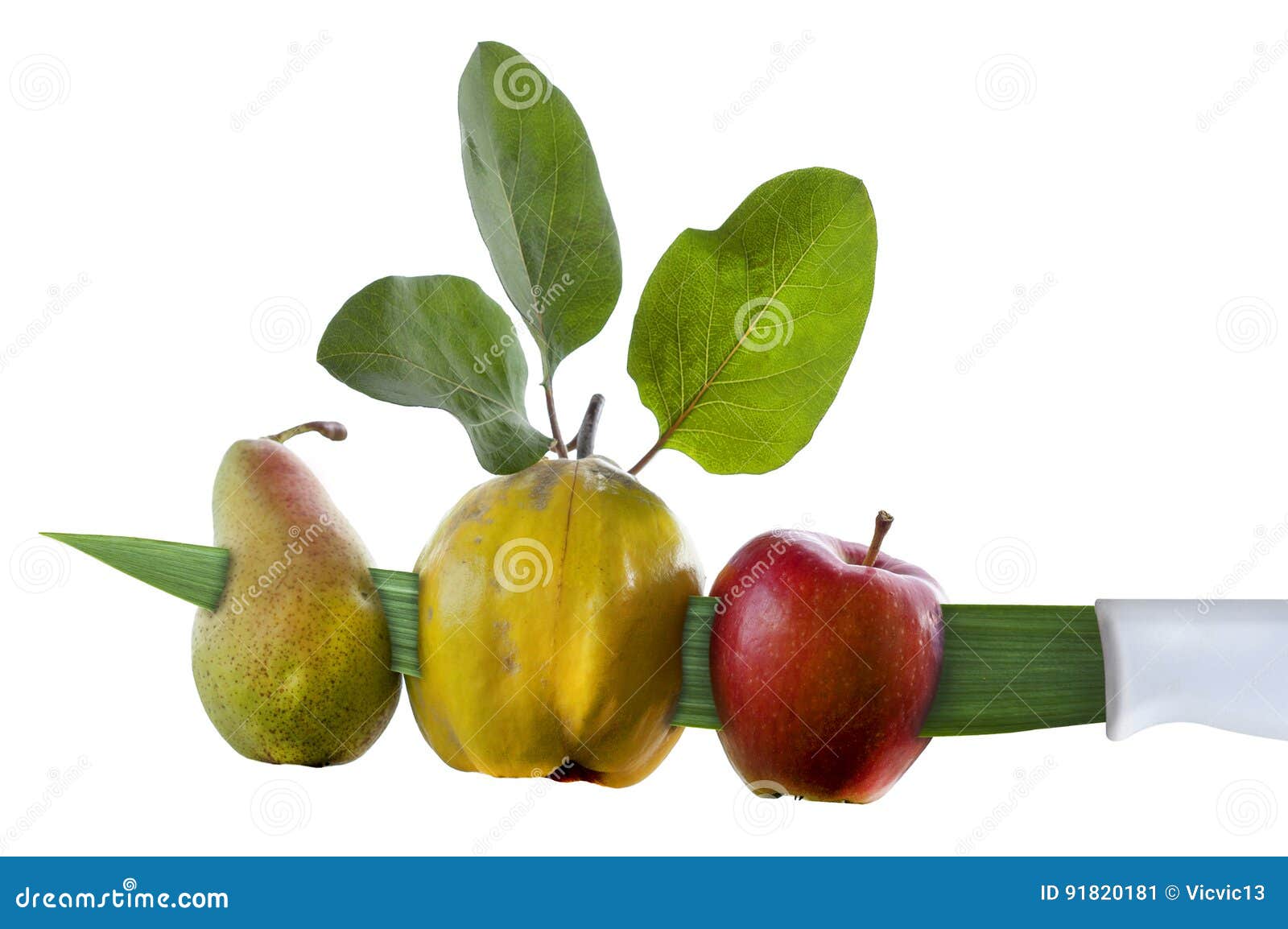 Quince, pear, apple stock image. Image of food, juice - 91820181