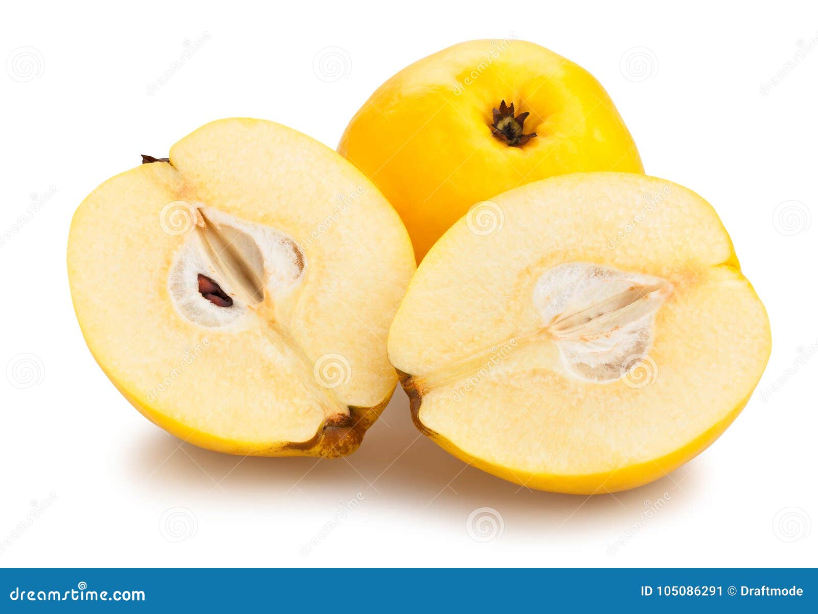 Quince stock image. Image of organic, shiny, antioxidant - 105086291