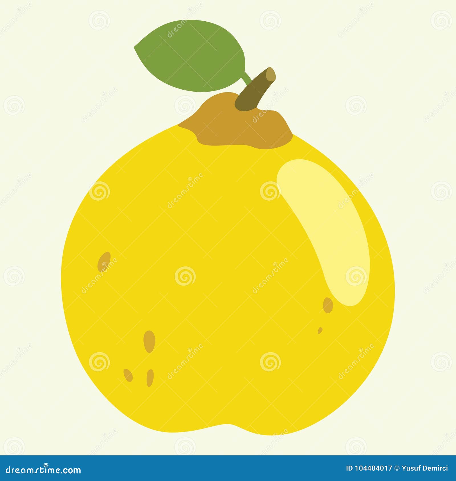 Quince Vector Illustration stock vector. Illustration of apple - 104404017