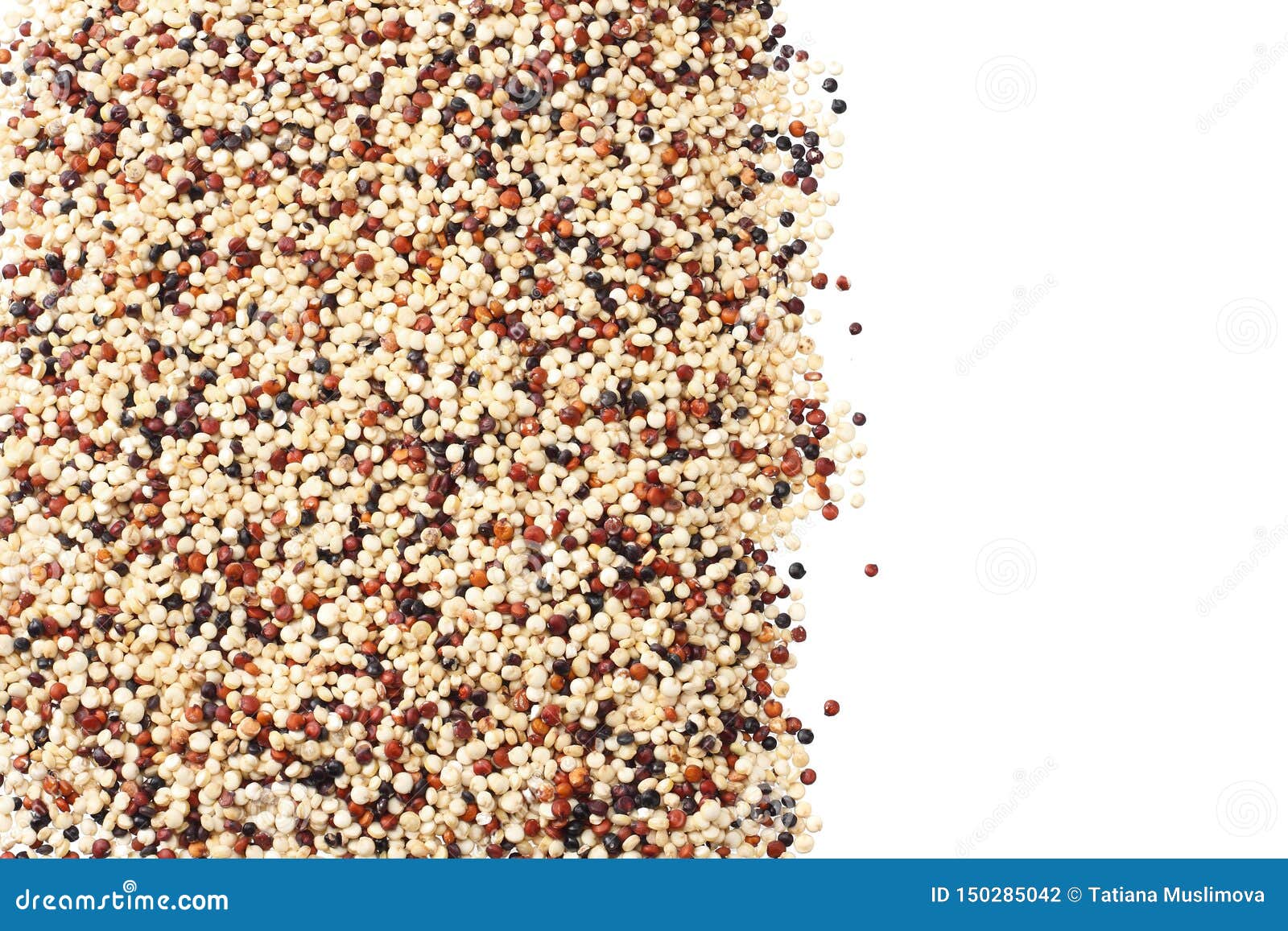 Quinoa Isolado No Fundo Branco Semente Do Quinoa Foto de Stock - Imagem ...