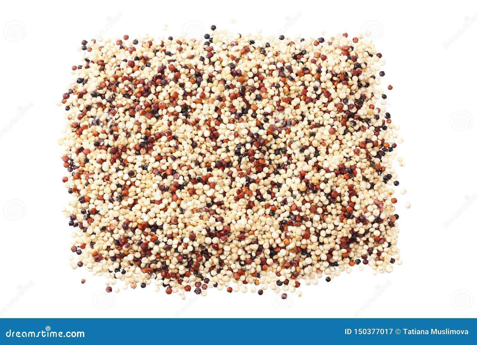 Quinoa Isolado No Fundo Branco Semente Do Quinoa Imagem de Stock ...