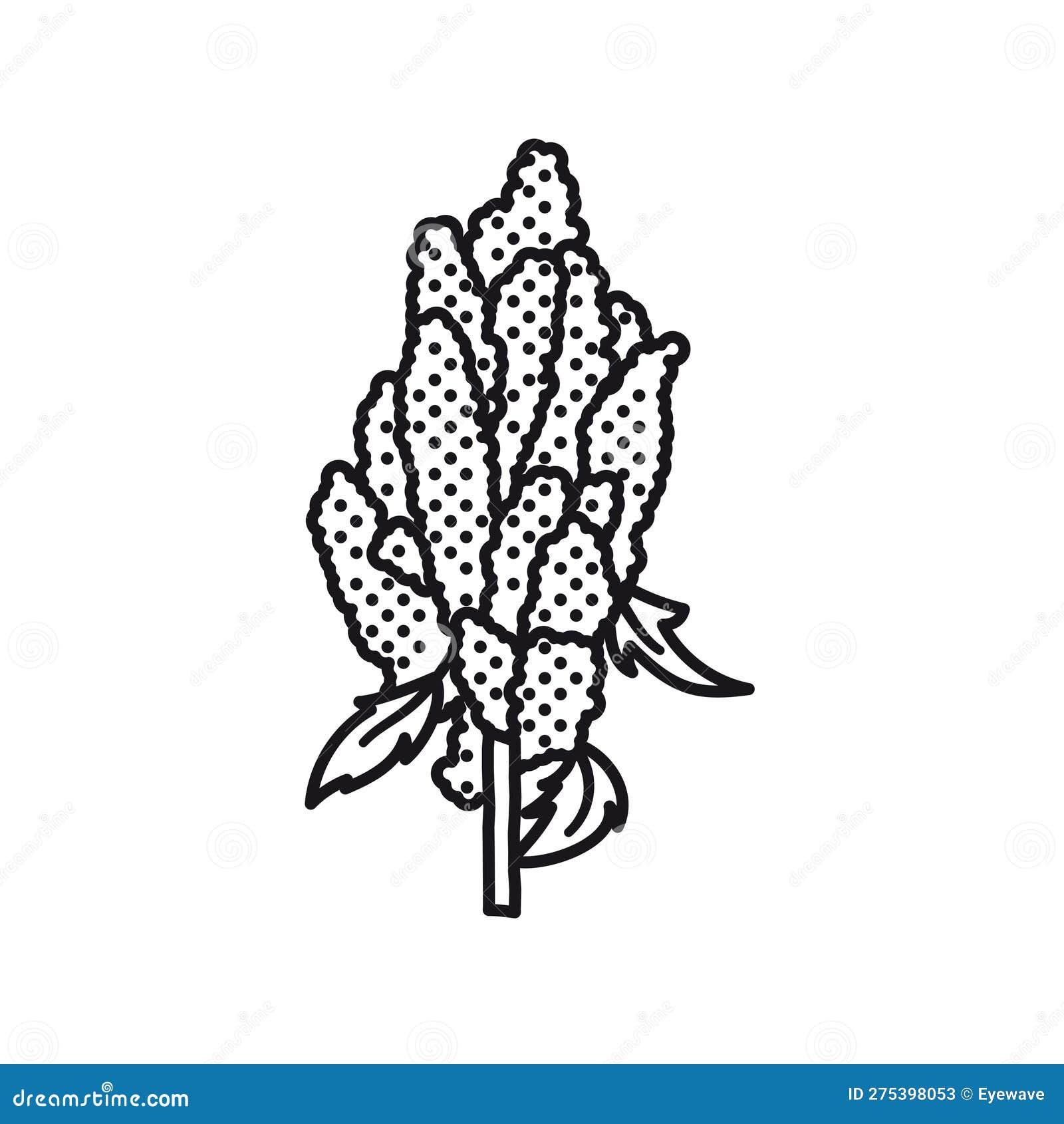 Quinoa Panicle Vector Line Icon Stock Vector - Illustration of quinoa ...
