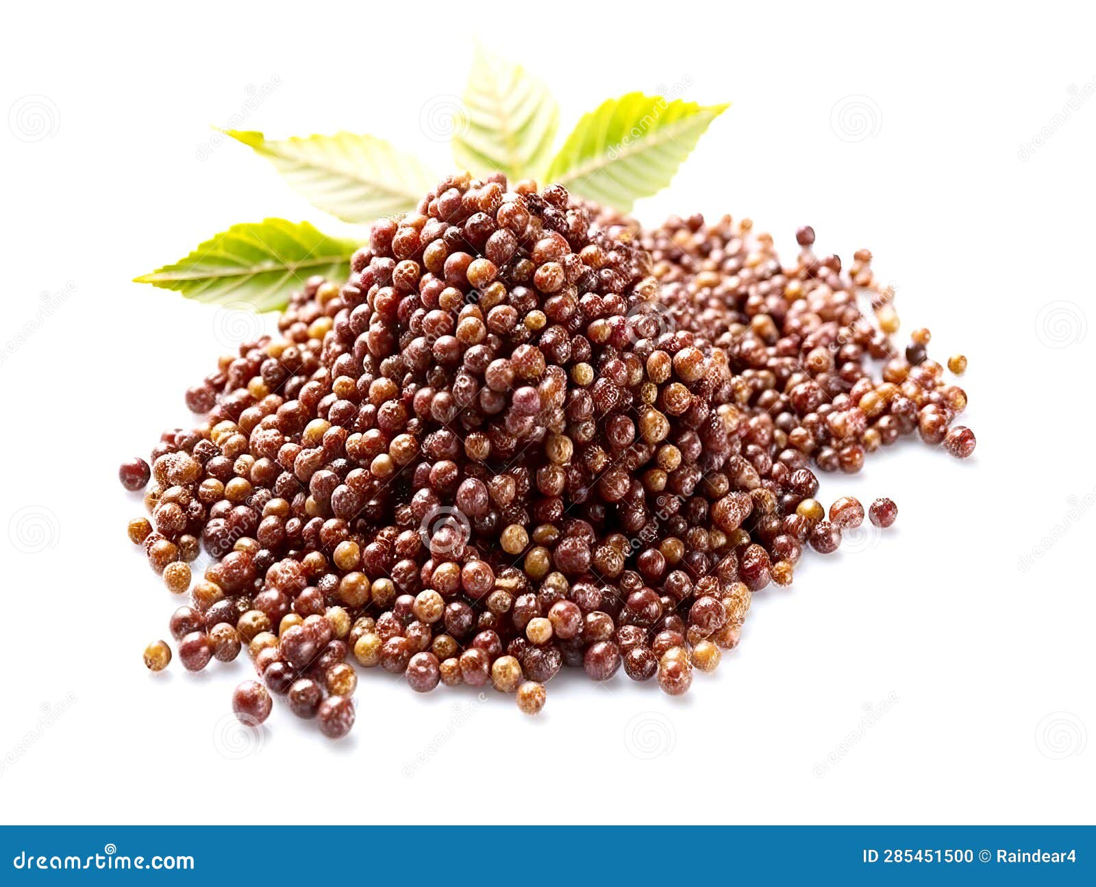 Quinoa Seeds on White Background Stock Illustration - Illustration of ...