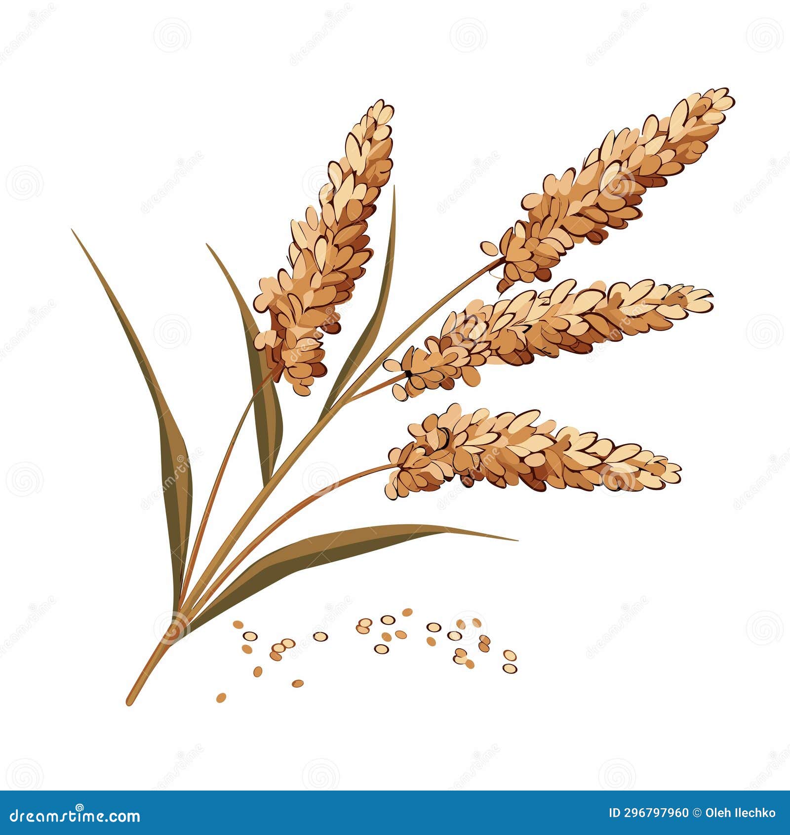 Quinoa Vector Flat Minimalistic Asset Isolated Illustration Stock ...