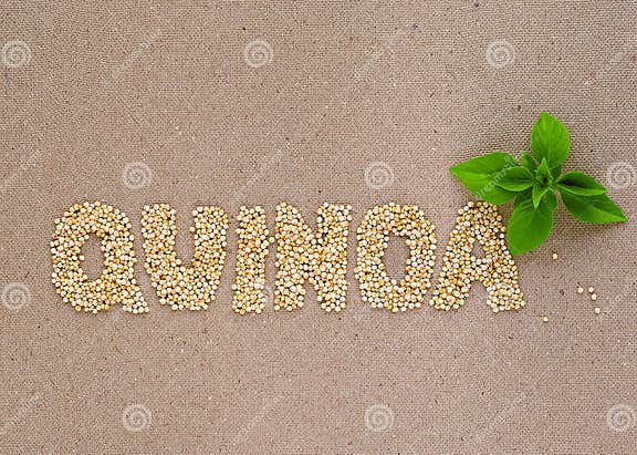 Quinoa word with basil stock image. Image of food, index - 28976629