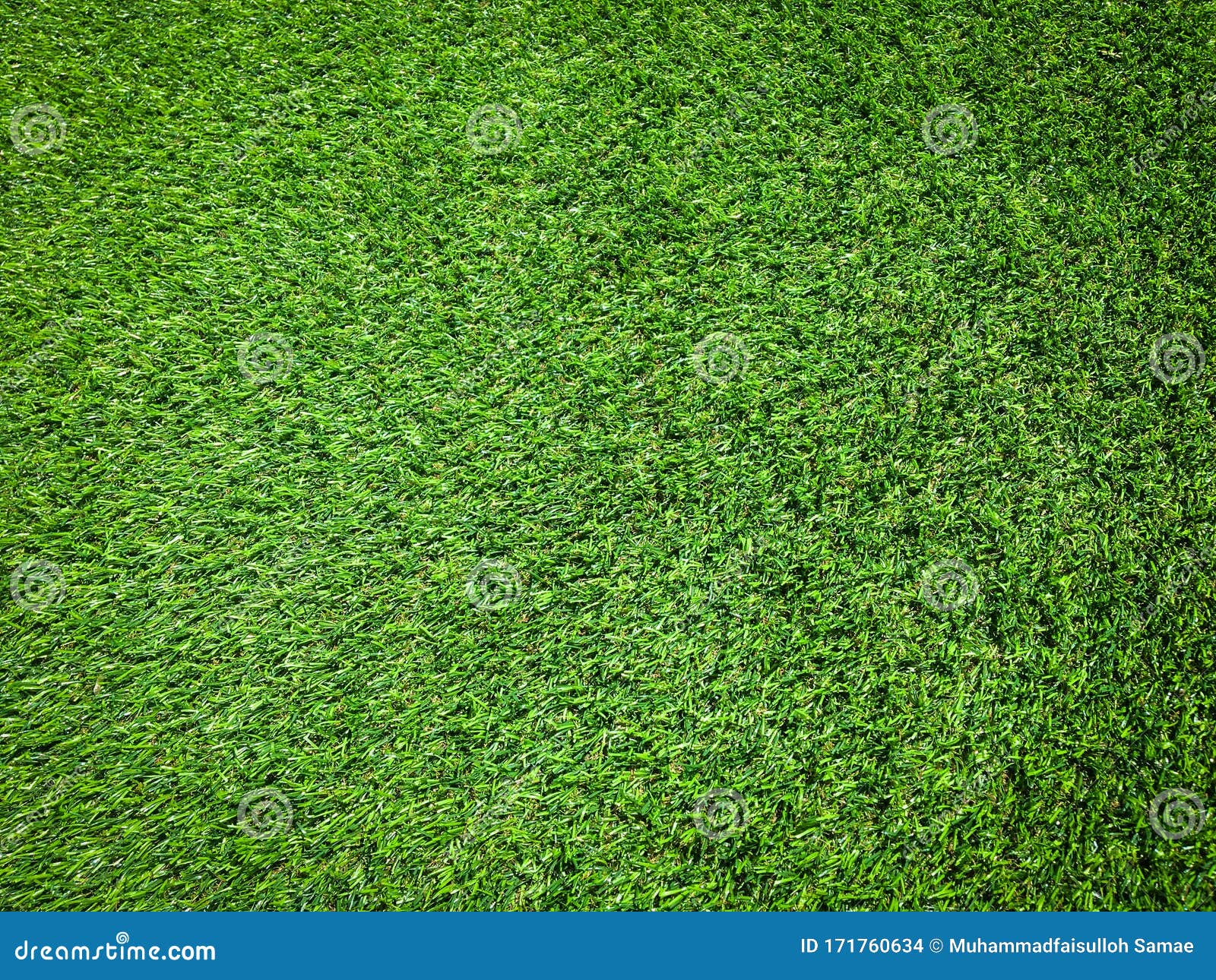 Quintal Artificial De Relva Verde Para Fundo. Textura Para Design Foto ...