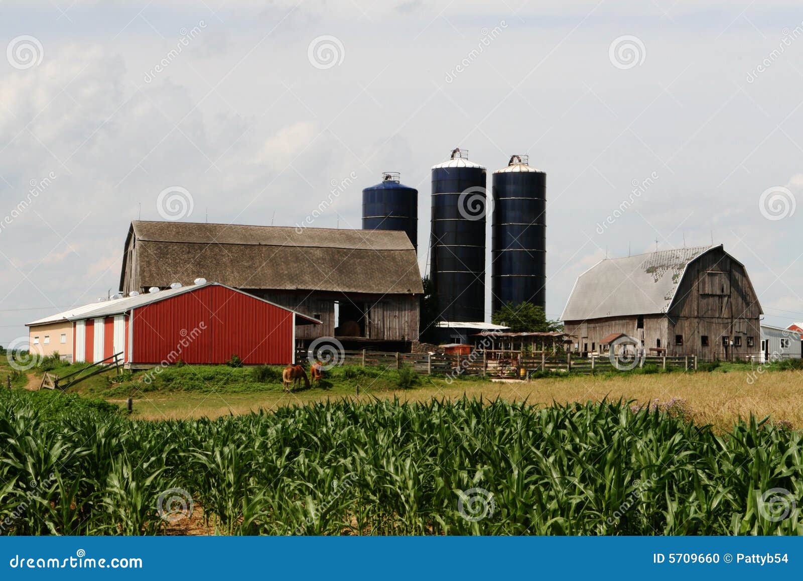 Quintessential American Farm Stock Photo - Image of barns, farming: 5709660